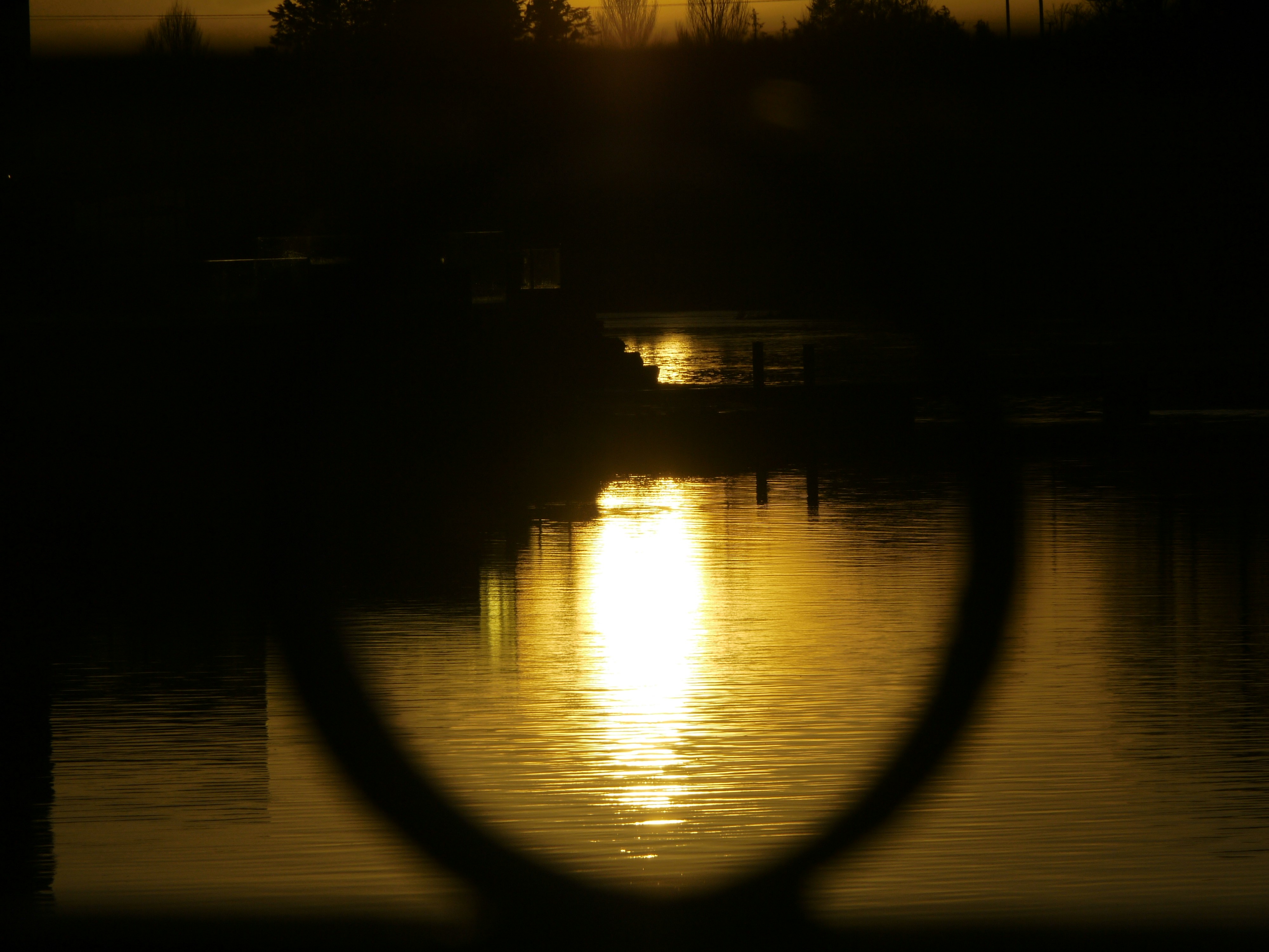 Photo by Fiona Dodd with Panasonic Lumix G10