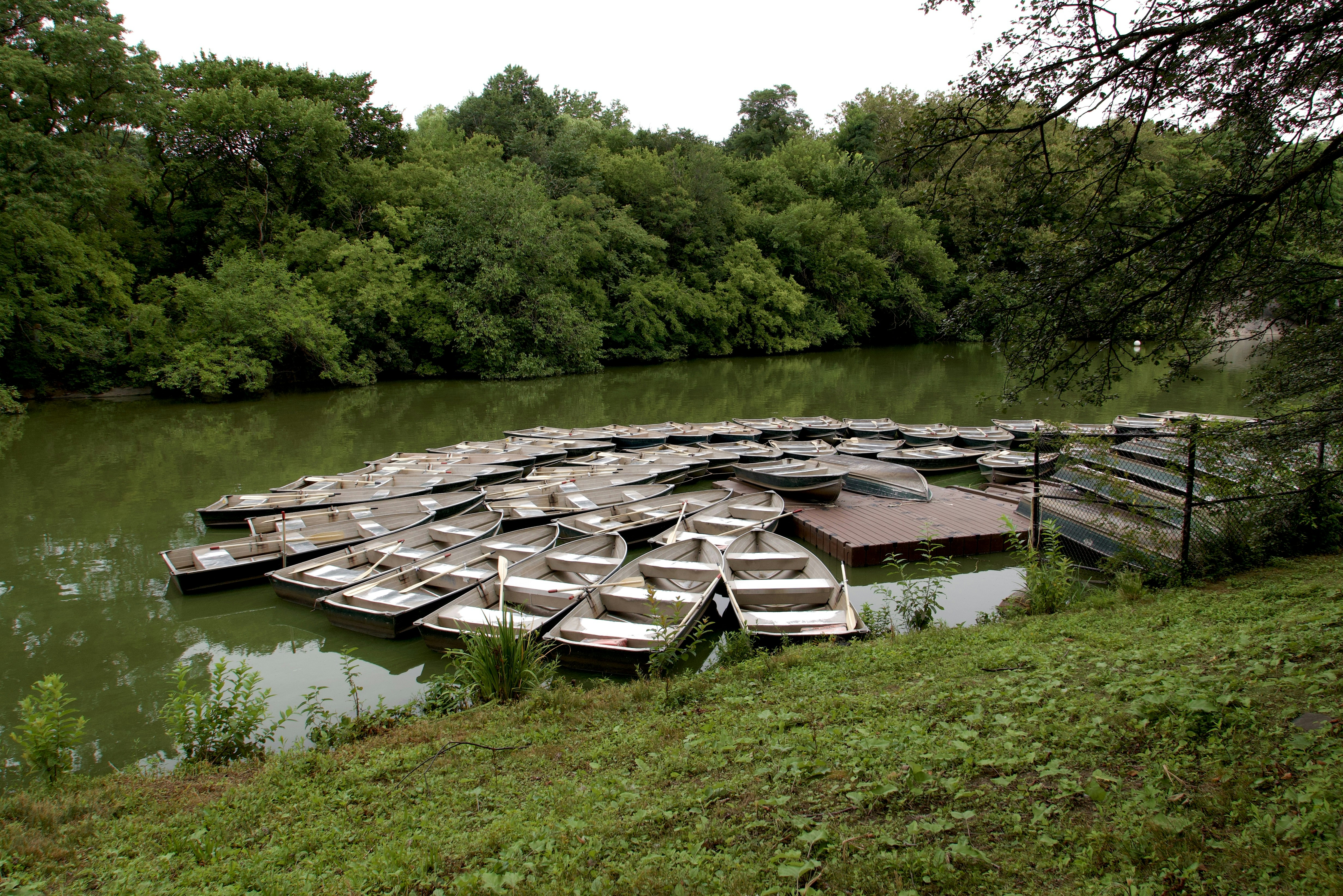 Floating Boats at the Riverbank: A Quiet Dock in the Green Corridor