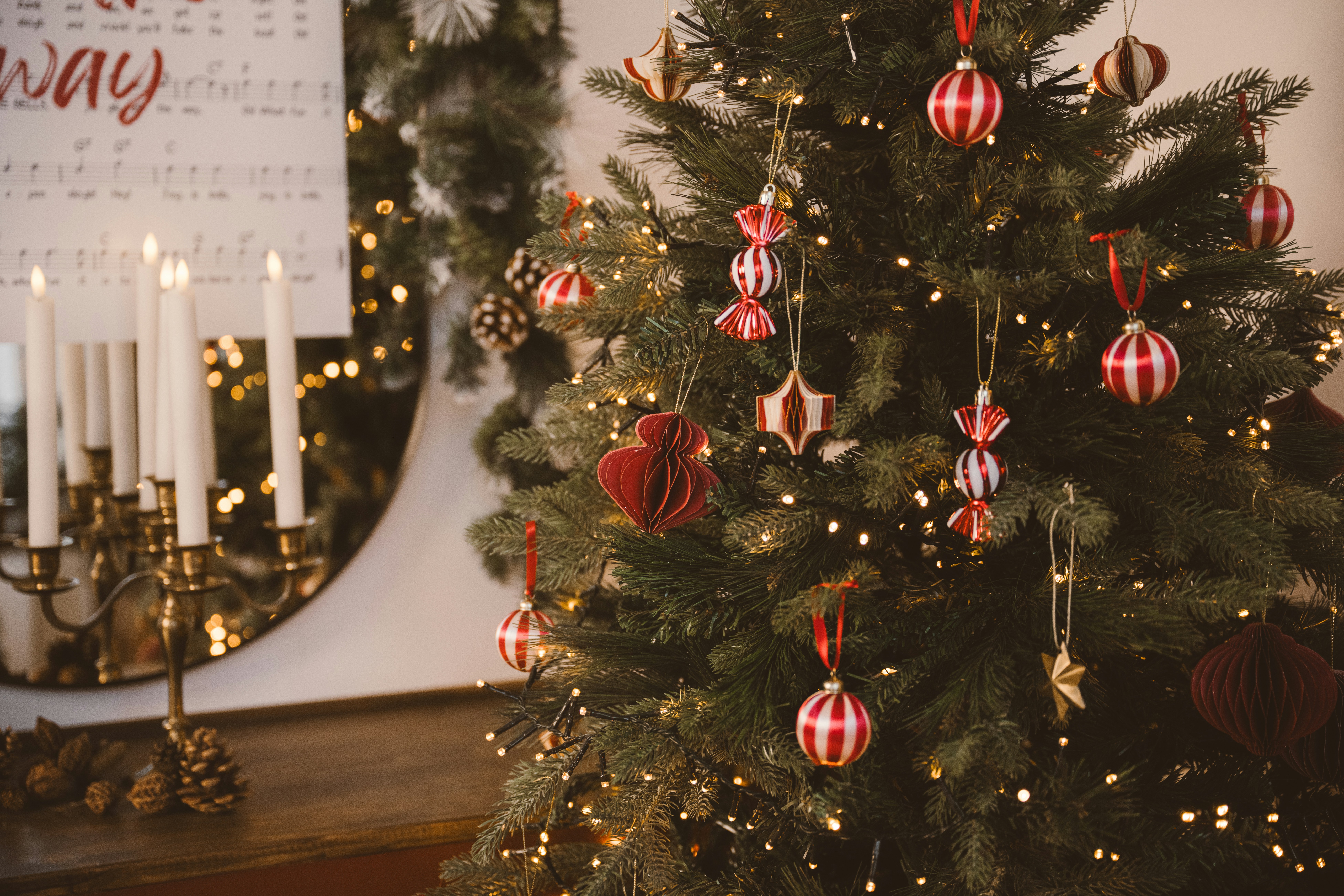 Sample photo from Nikon Z7 II