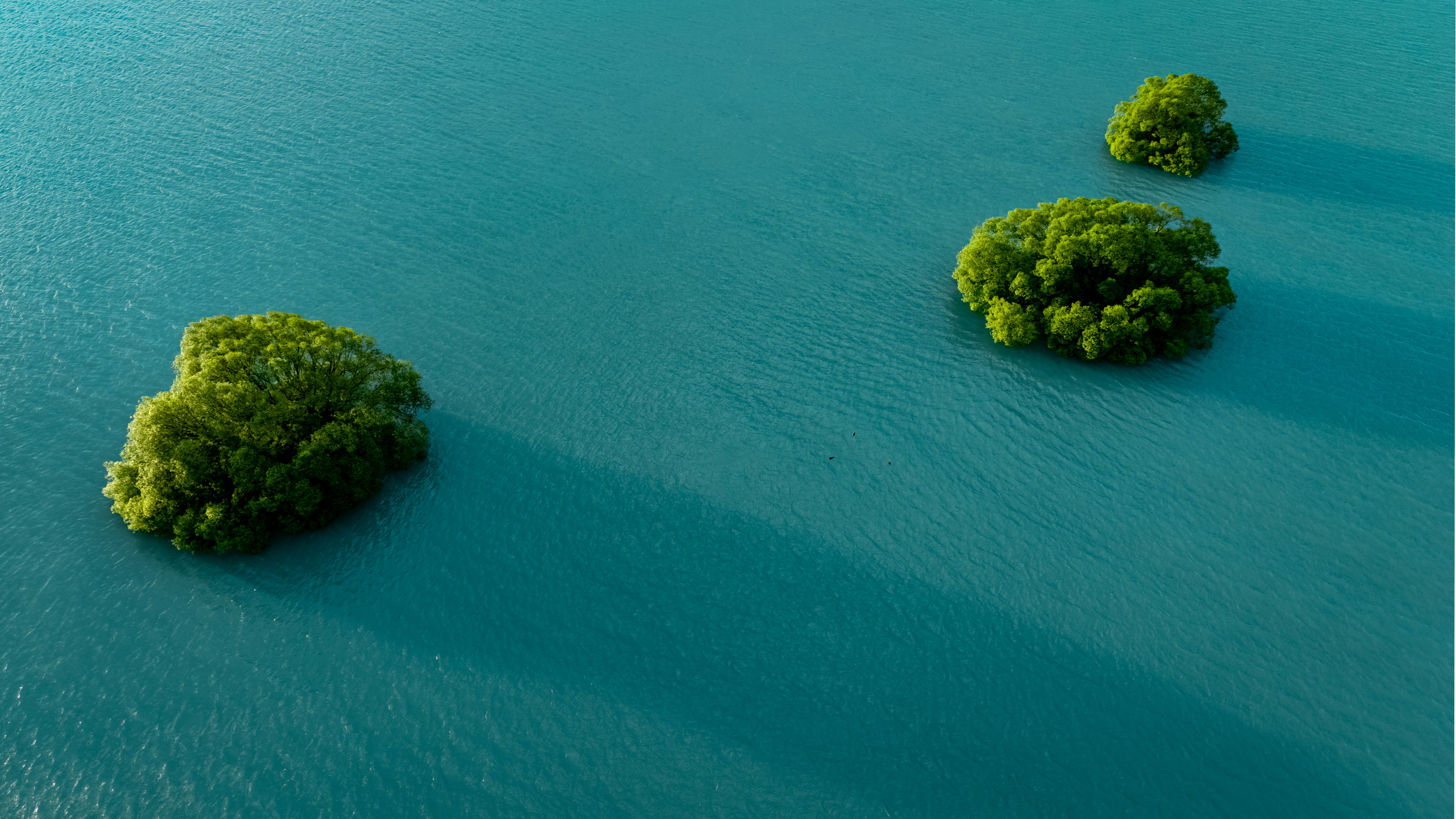 Photo by Look Up Look Down Photography with DJI Mini 4 Pro