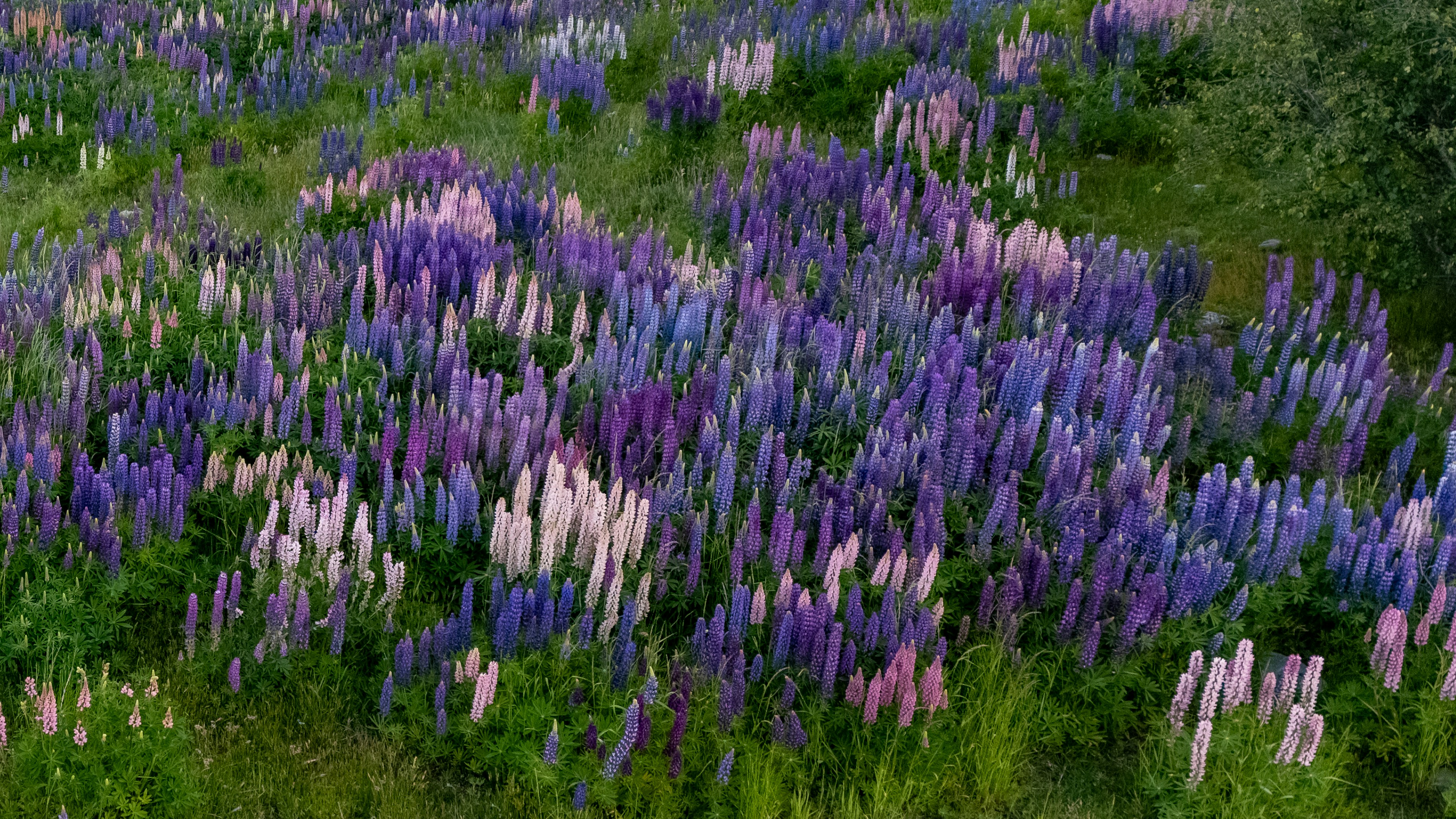 Photo by Look Up Look Down Photography with DJI Mini 4 Pro