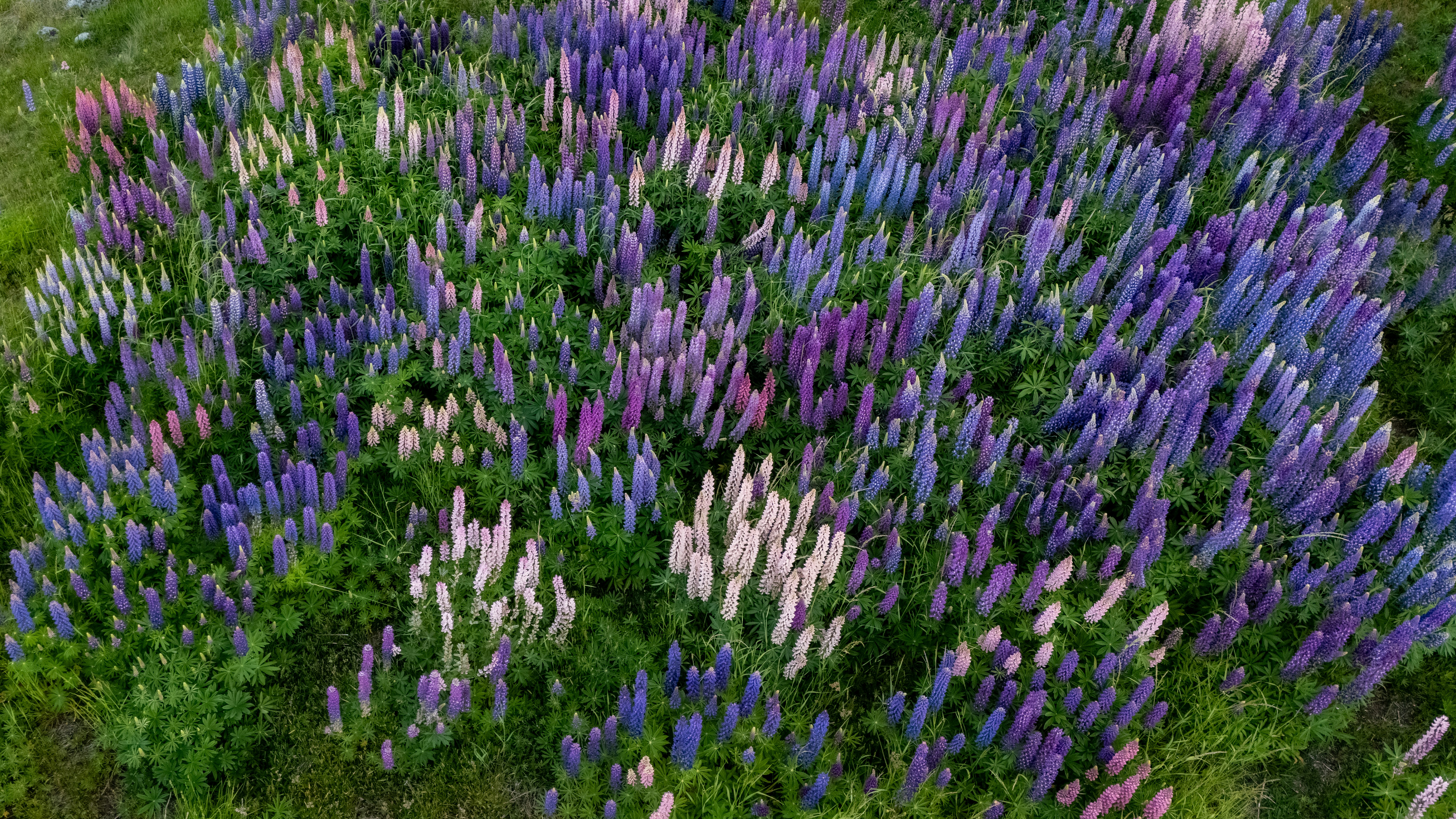 Photo by Look Up Look Down Photography with DJI Mini 4 Pro