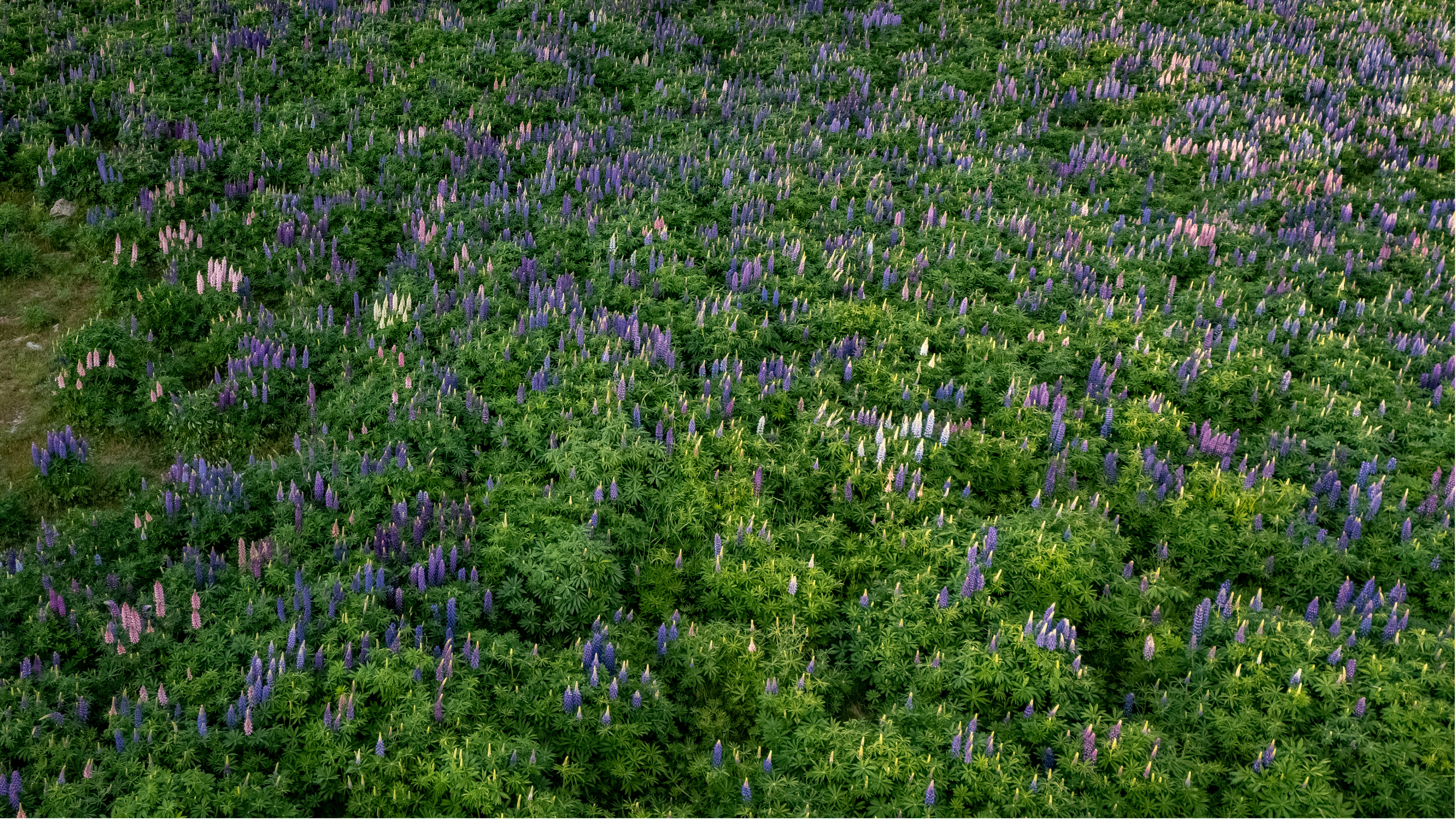 Photo by Look Up Look Down Photography with DJI Mini 4 Pro