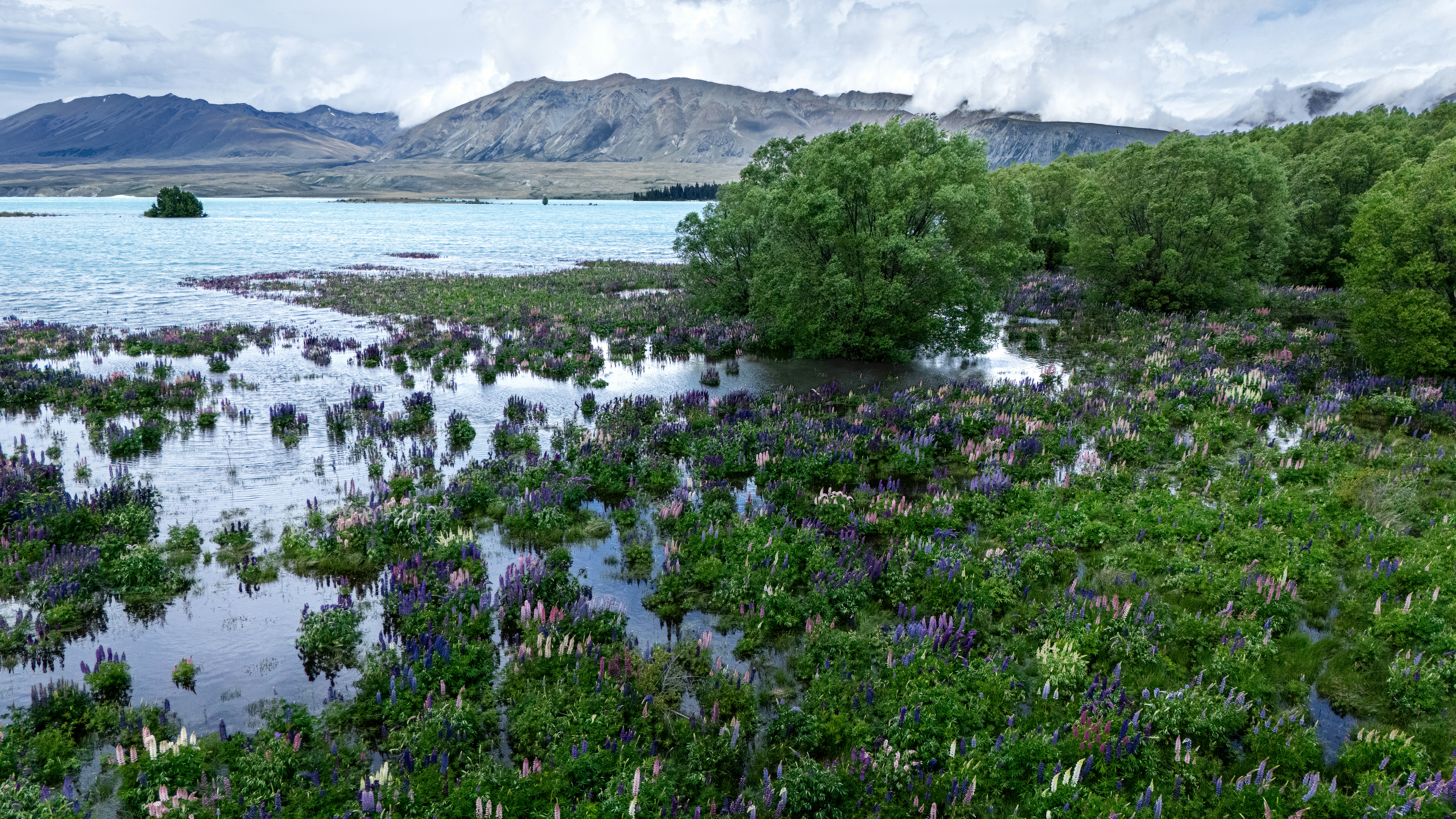 Photo by Look Up Look Down Photography with DJI Mini 4 Pro