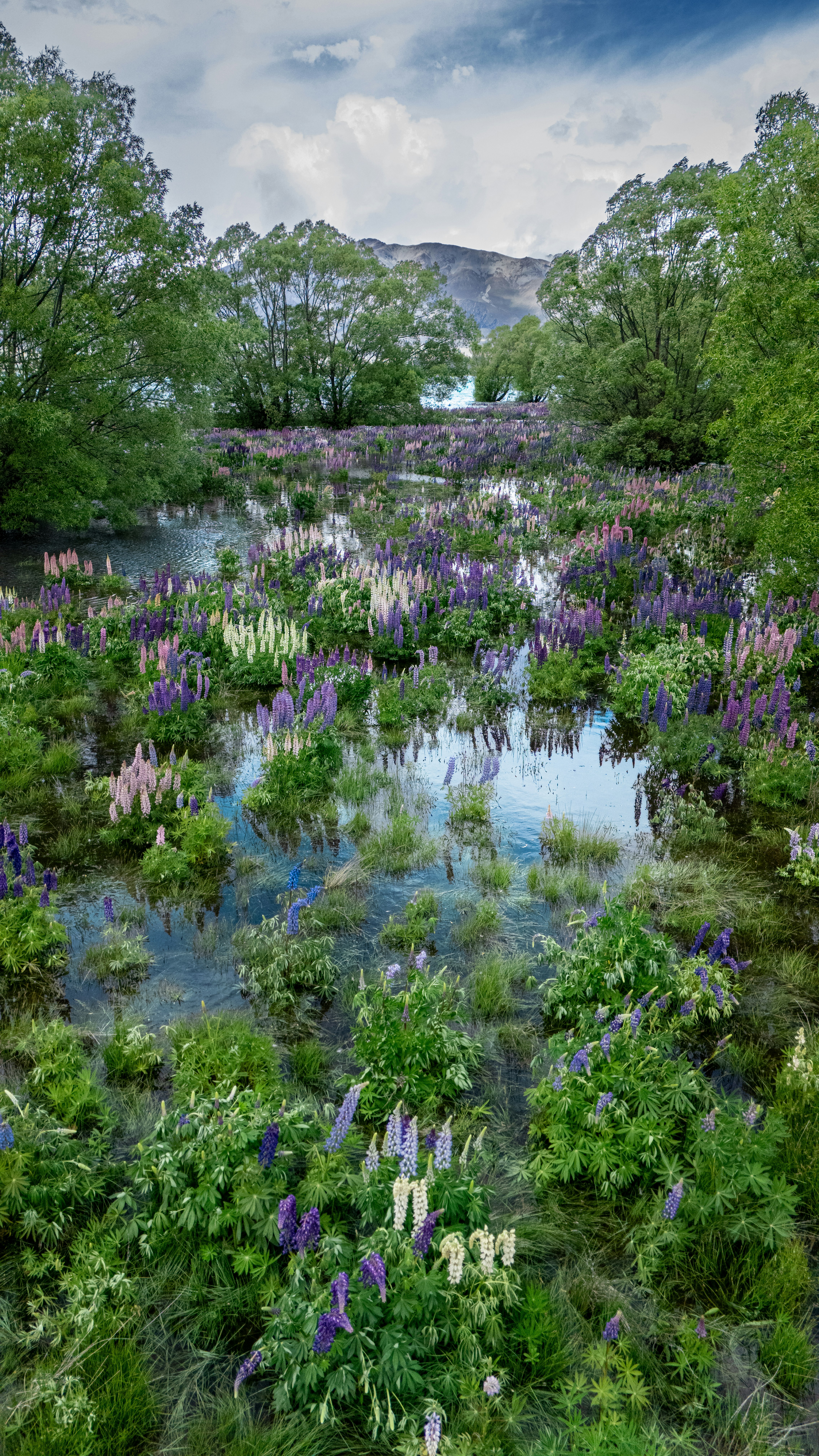 Photo by Look Up Look Down Photography with DJI Mini 4 Pro