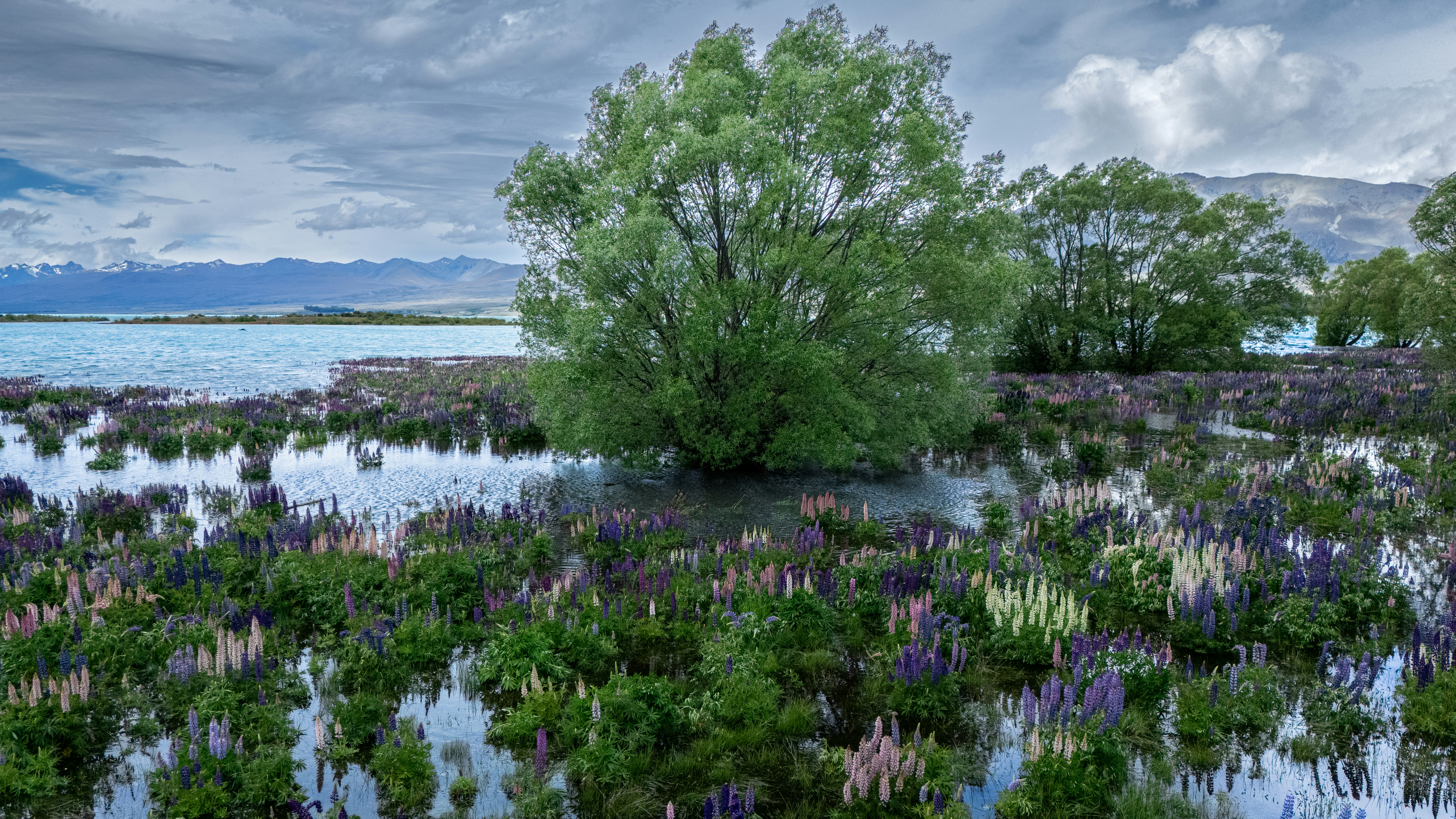 Photo by Look Up Look Down Photography with DJI Mini 4 Pro