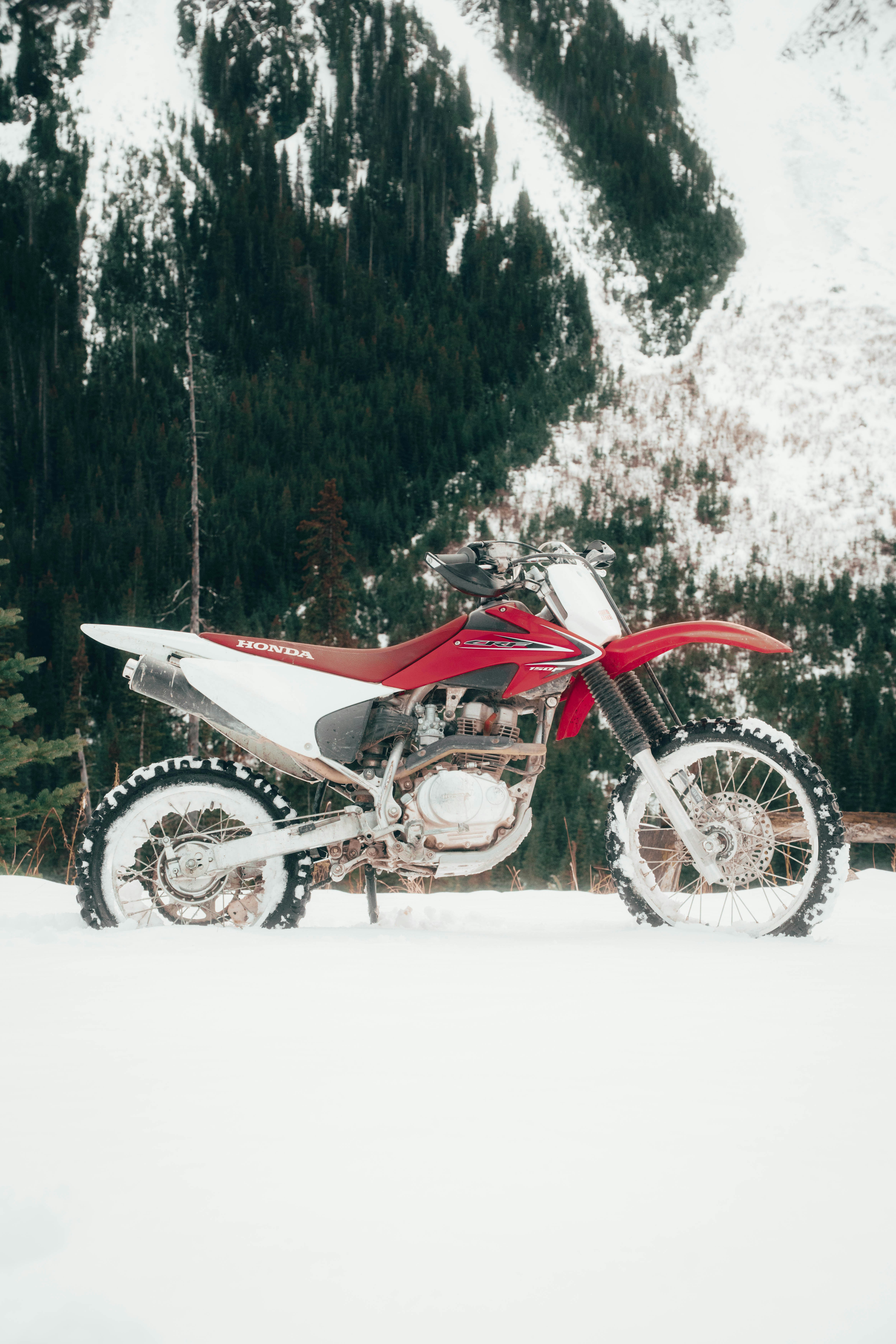 Photo by Daniel Gomez with Sony Alpha 7 IV