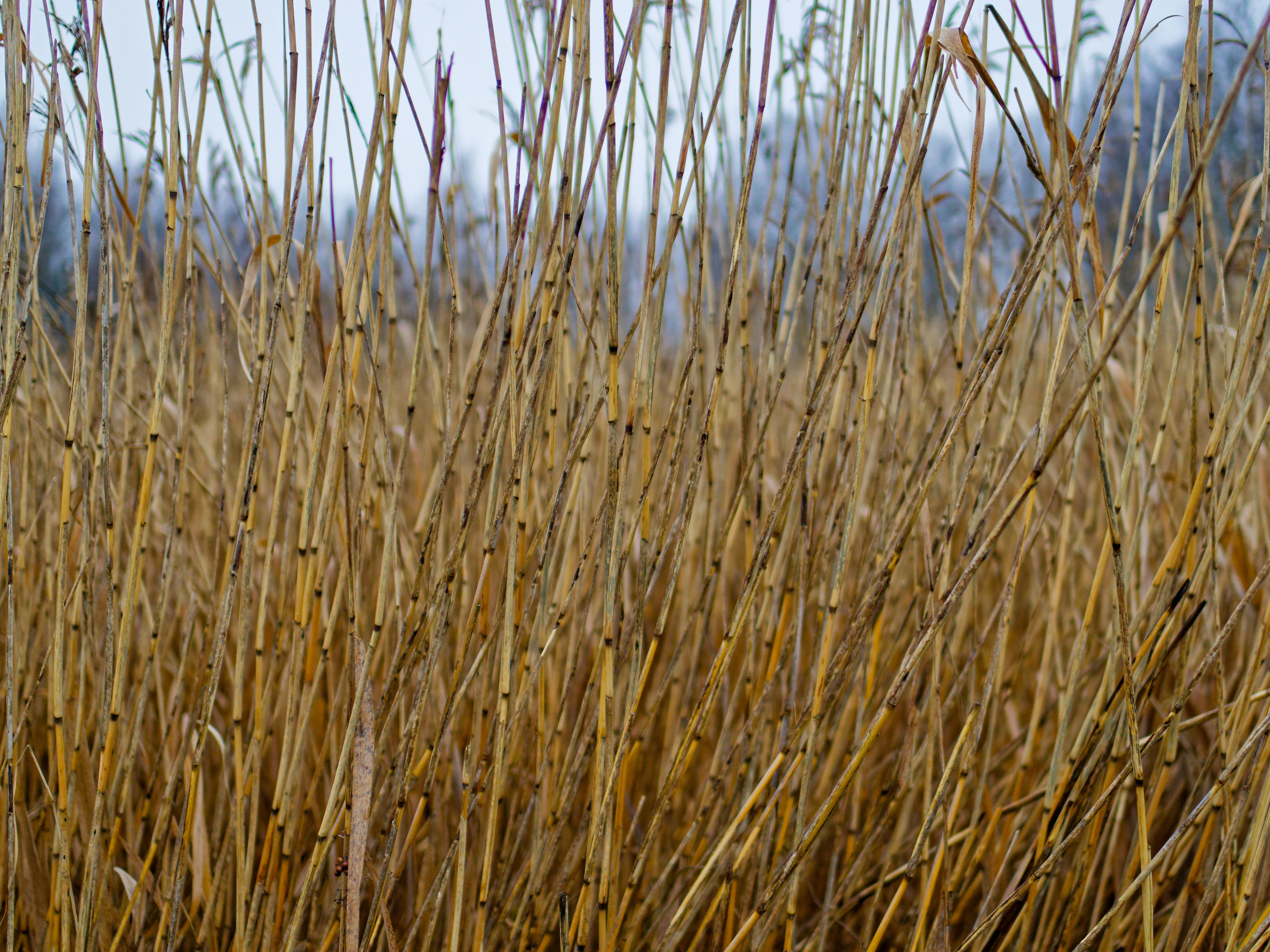 Photo by Henry Schneider with OM System OM-1