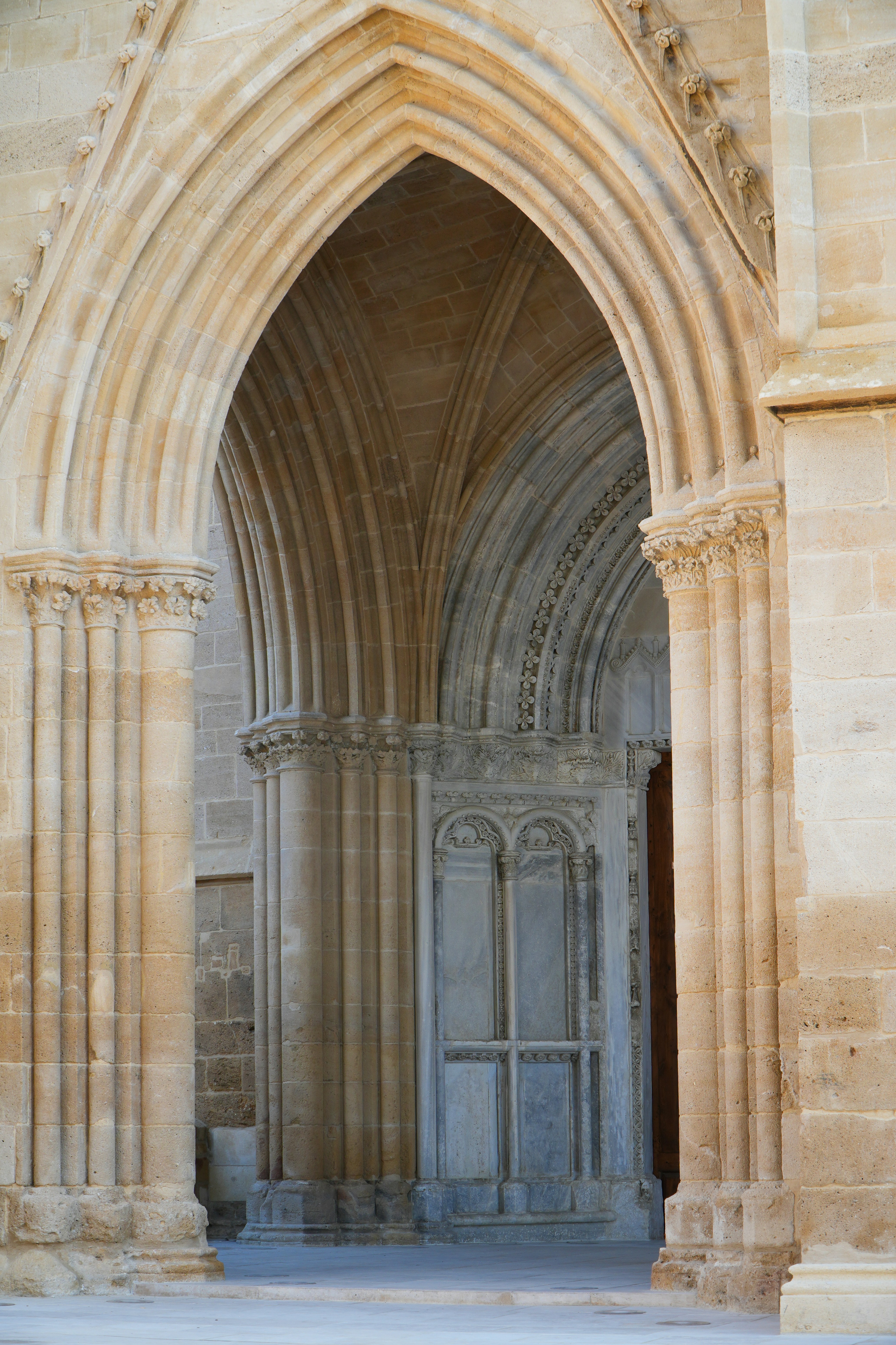 Photo by esref yasa with Sony Alpha 6700