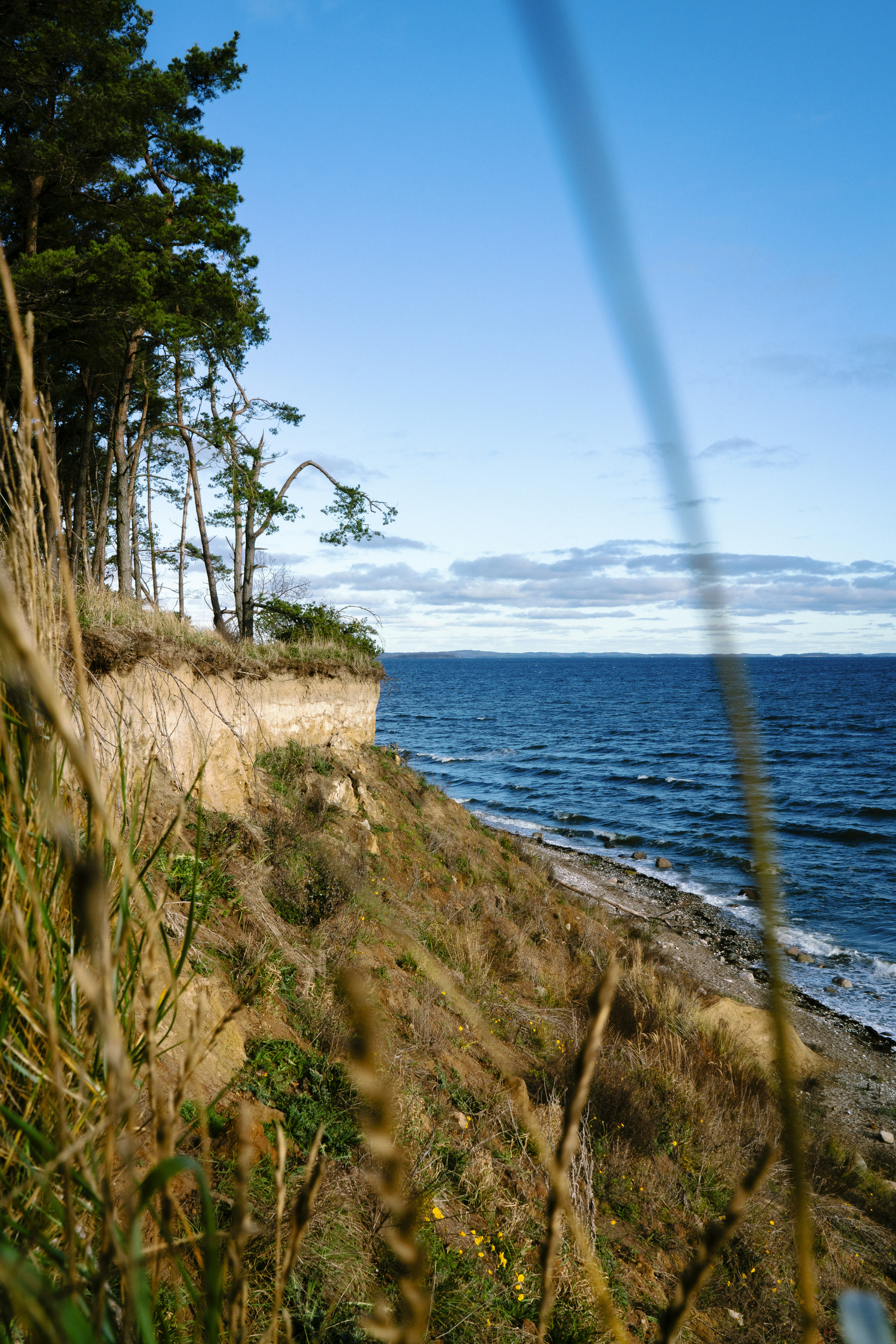 Photo by Max Böhme with Sony Alpha 7R II