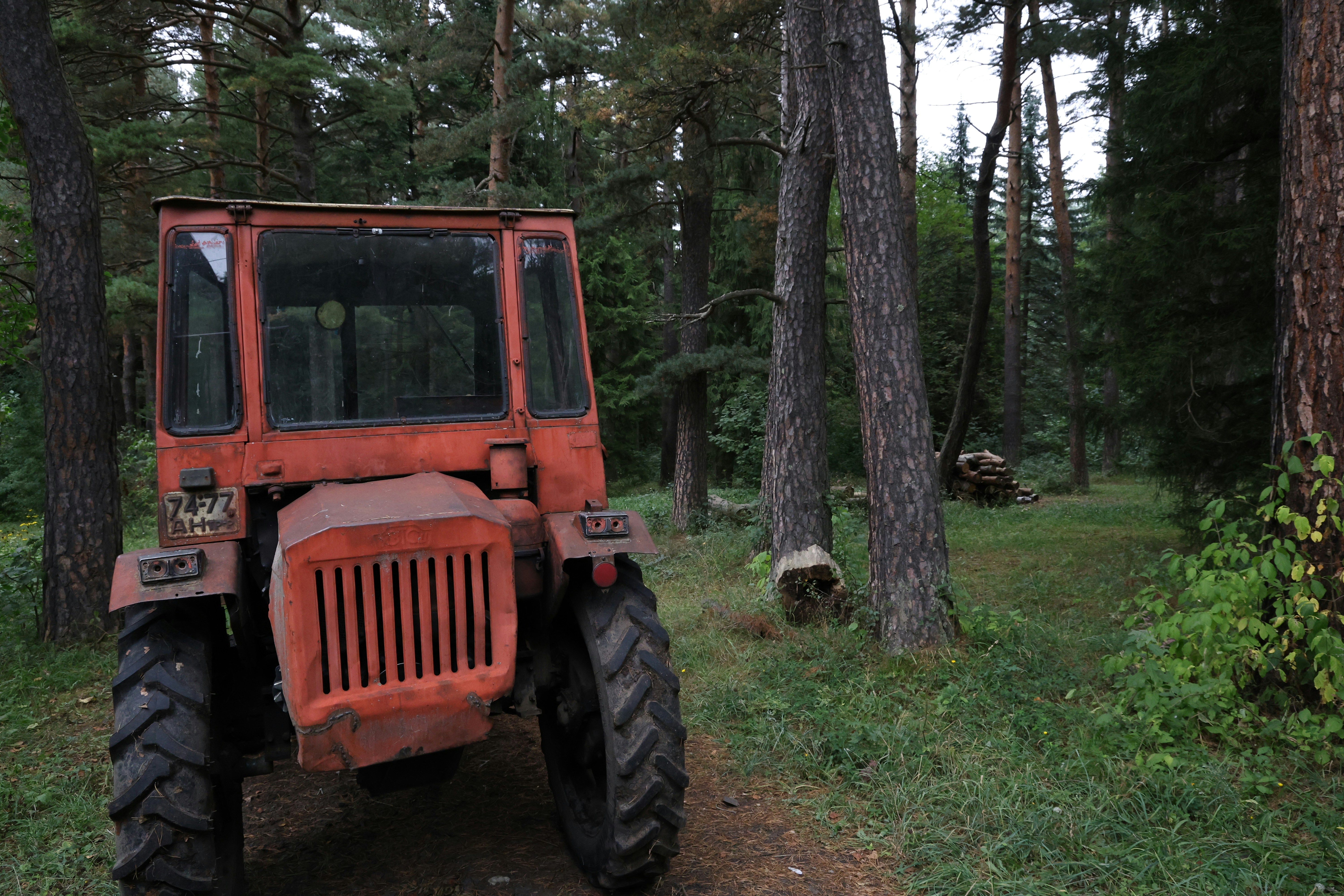 Photo by wow aram with Canon EOS R6 Mark II