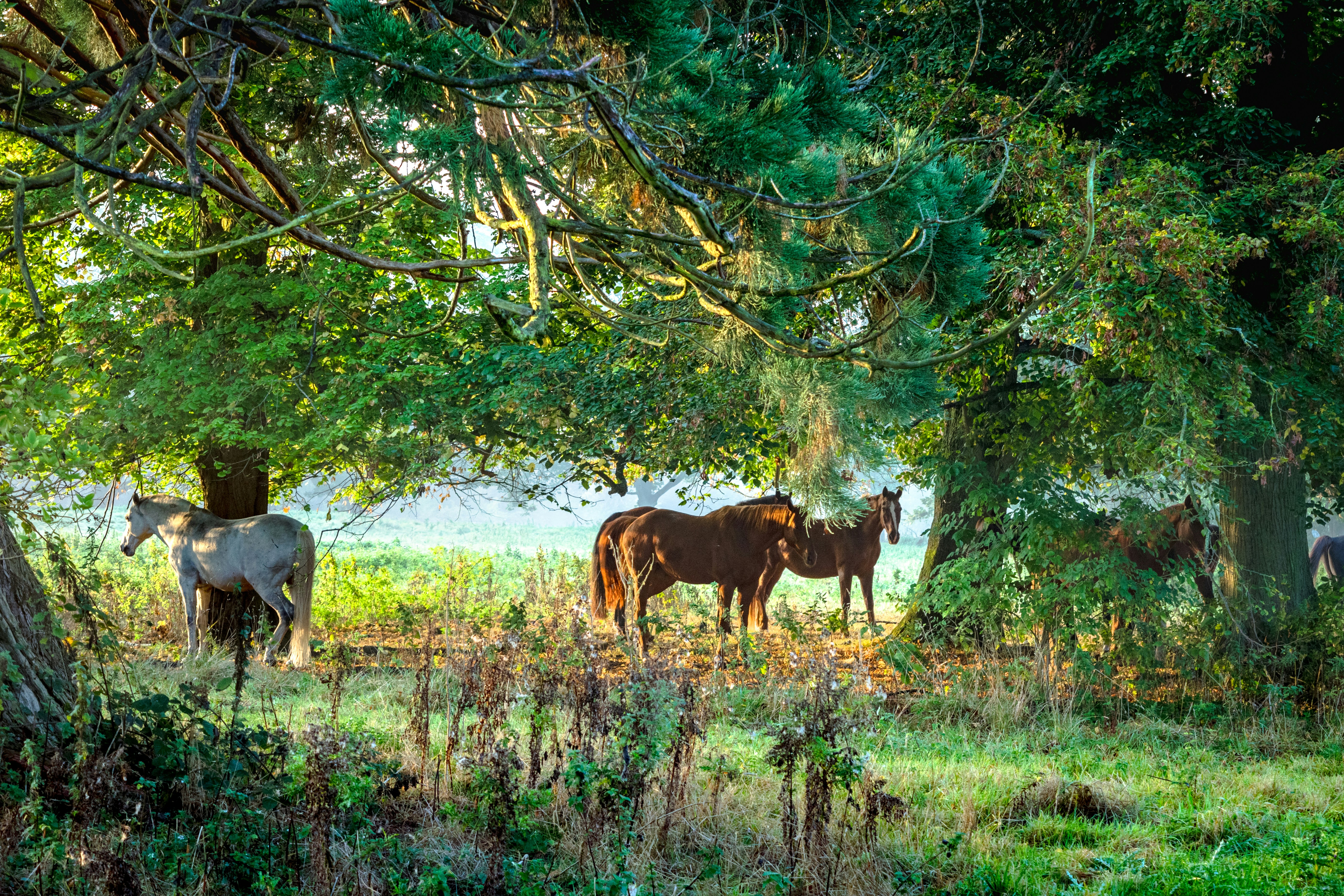 Photo by Armen Sarkissian with Nikon D5300