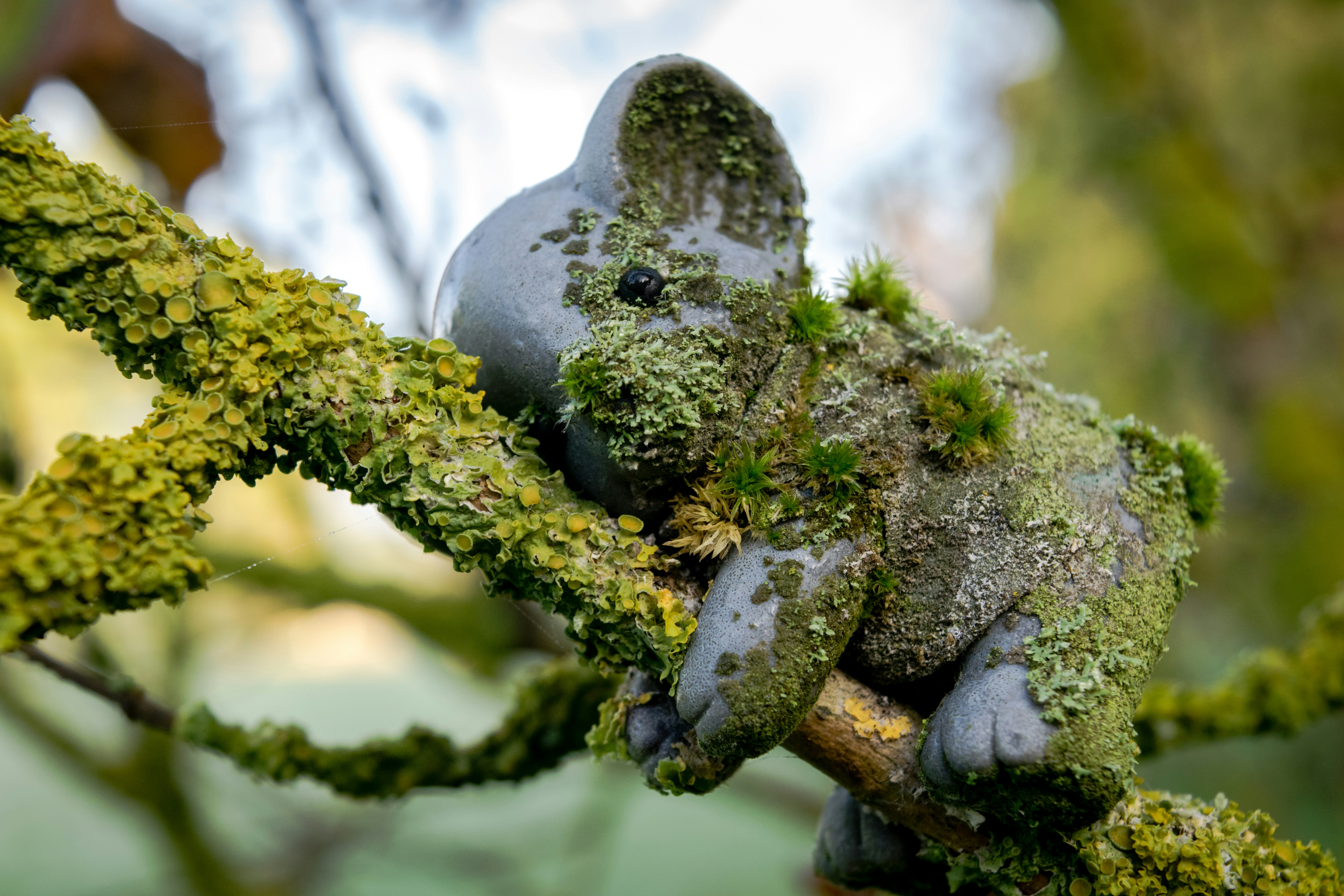 Photo by Armen Sarkissian with Nikon D5300