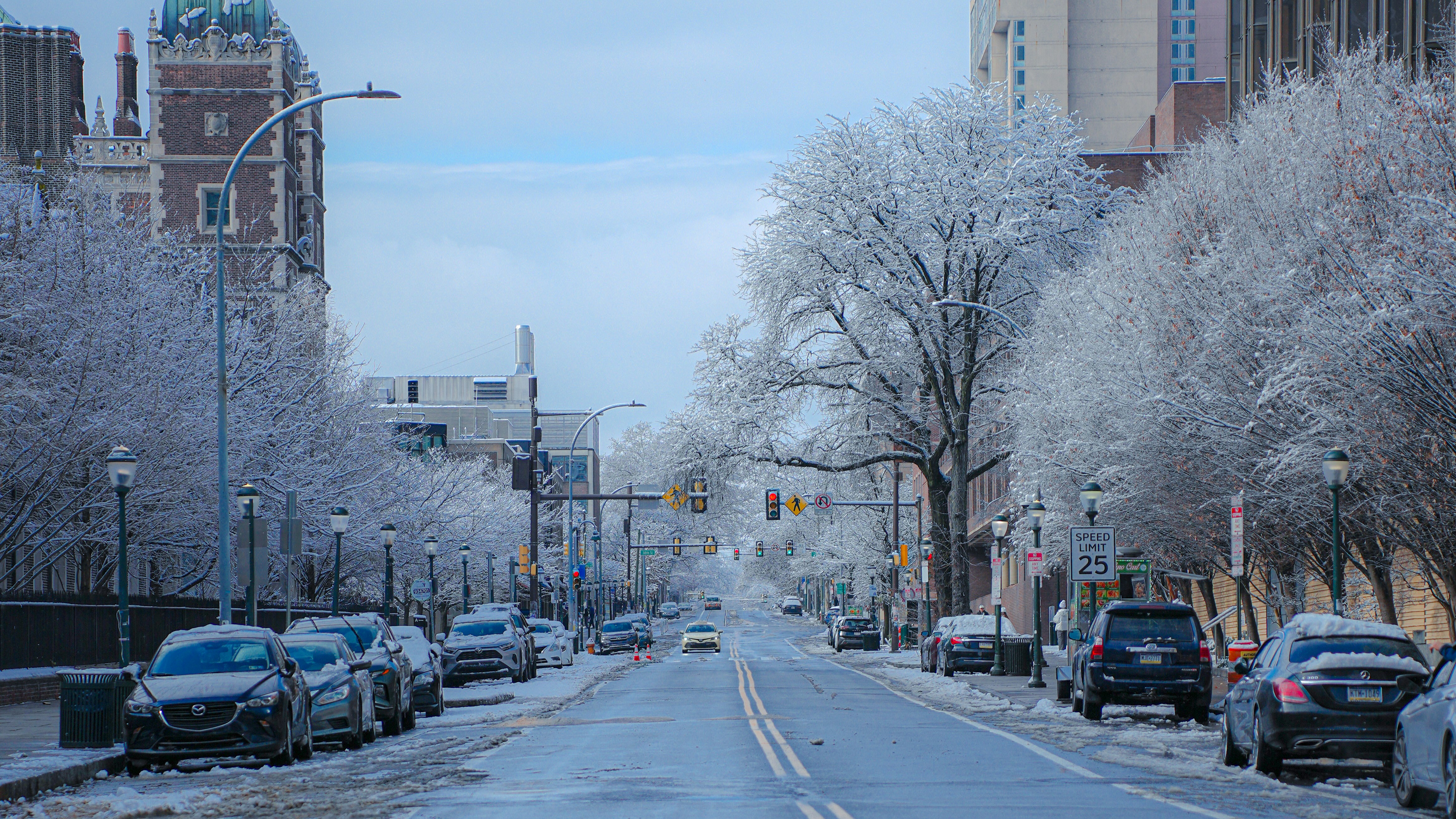 Photo by Iris Yan with Sony Alpha 7 IV