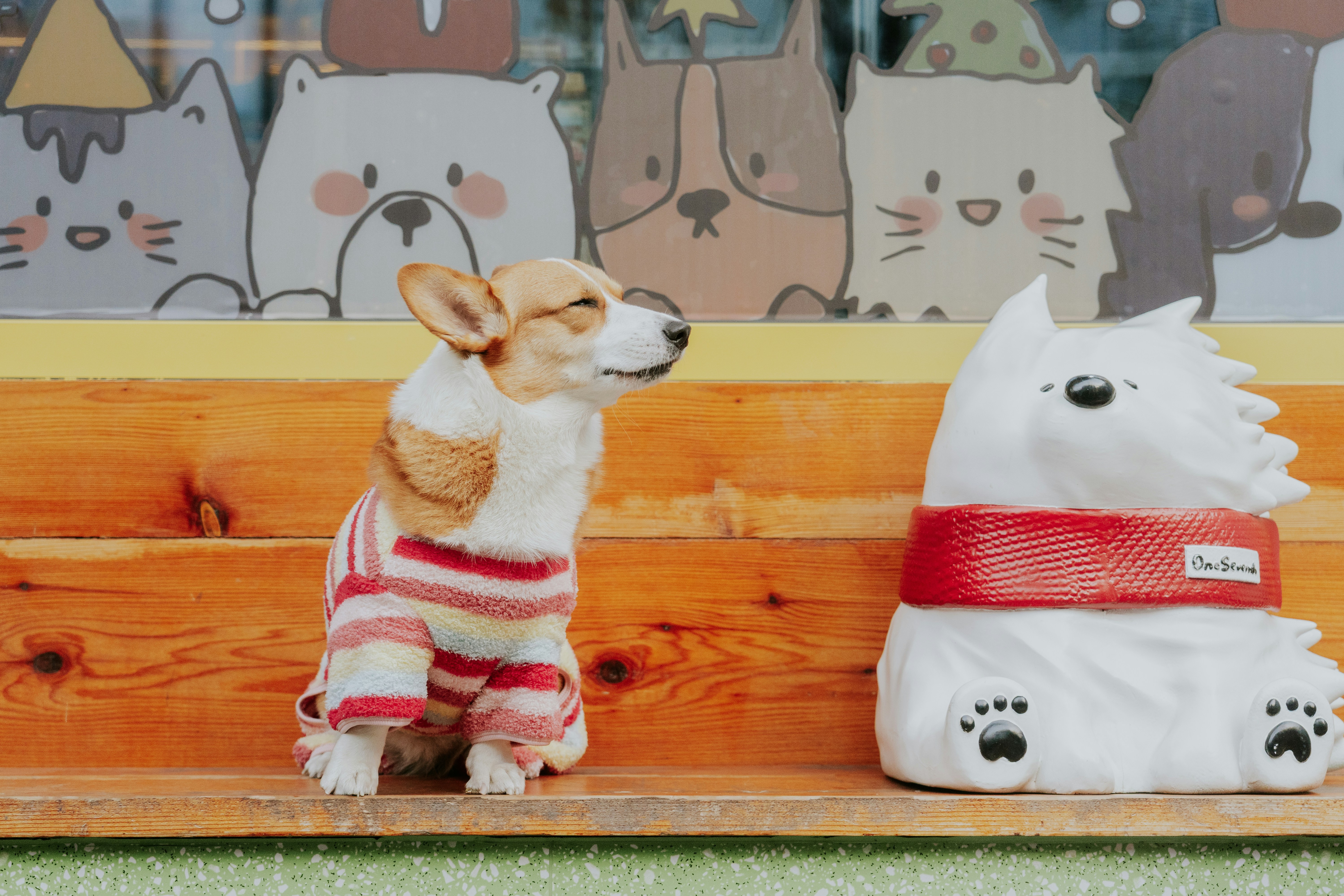 Friendly Stare-Down at the Cozy Corner
