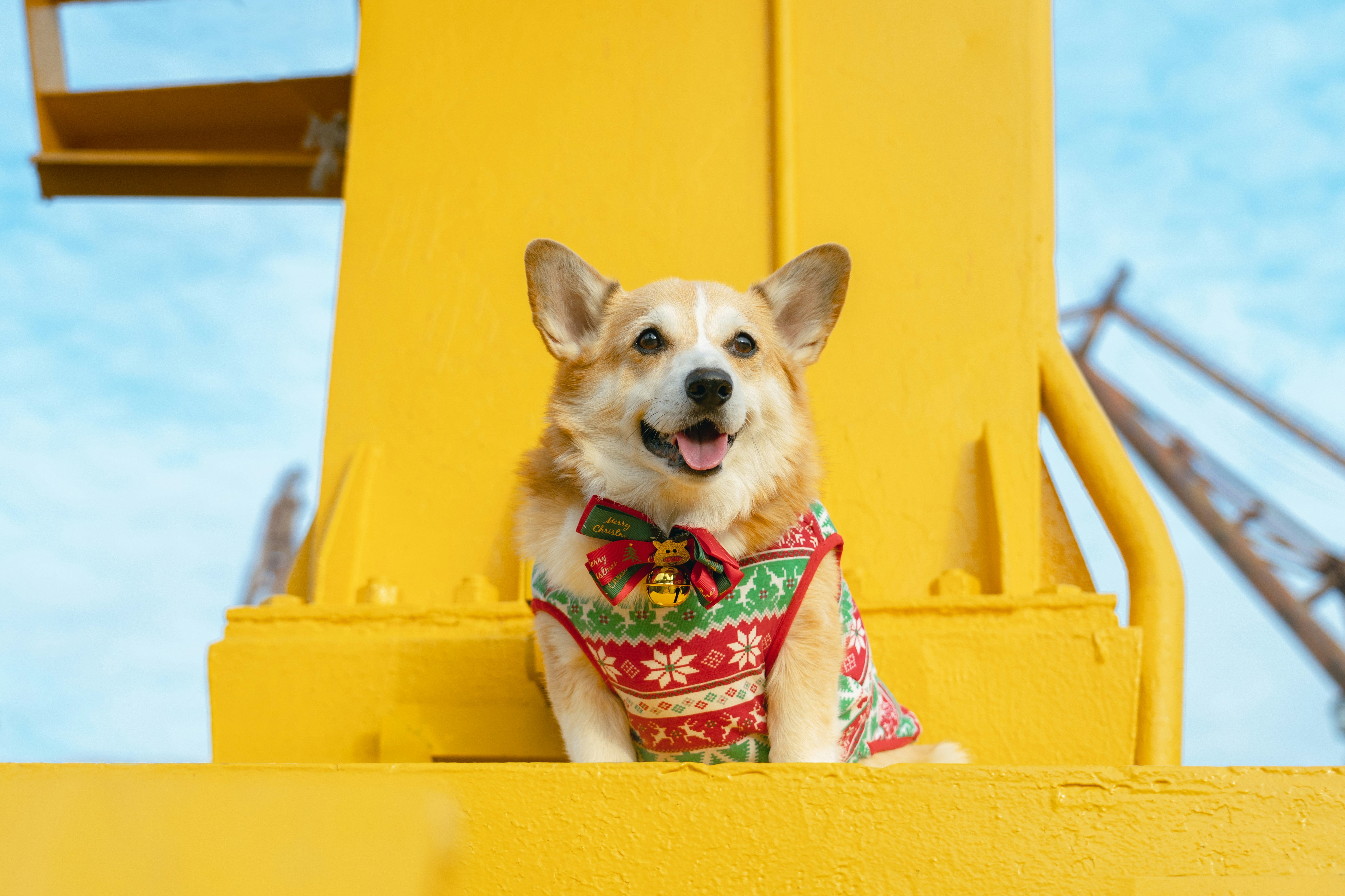 A Corgi (dressed in a festive Christmas-patterned sweater with a red bow) sits cheerfully on a bold yellow industrial structure, with a clear blue sky in the background. Its tongue lolls out in a joyful expression, blending holiday warmth with the edgy urban backdrop—this scene feels playful and vibrant, perfectly showcasing the Corgi’s adorable, festive charm.