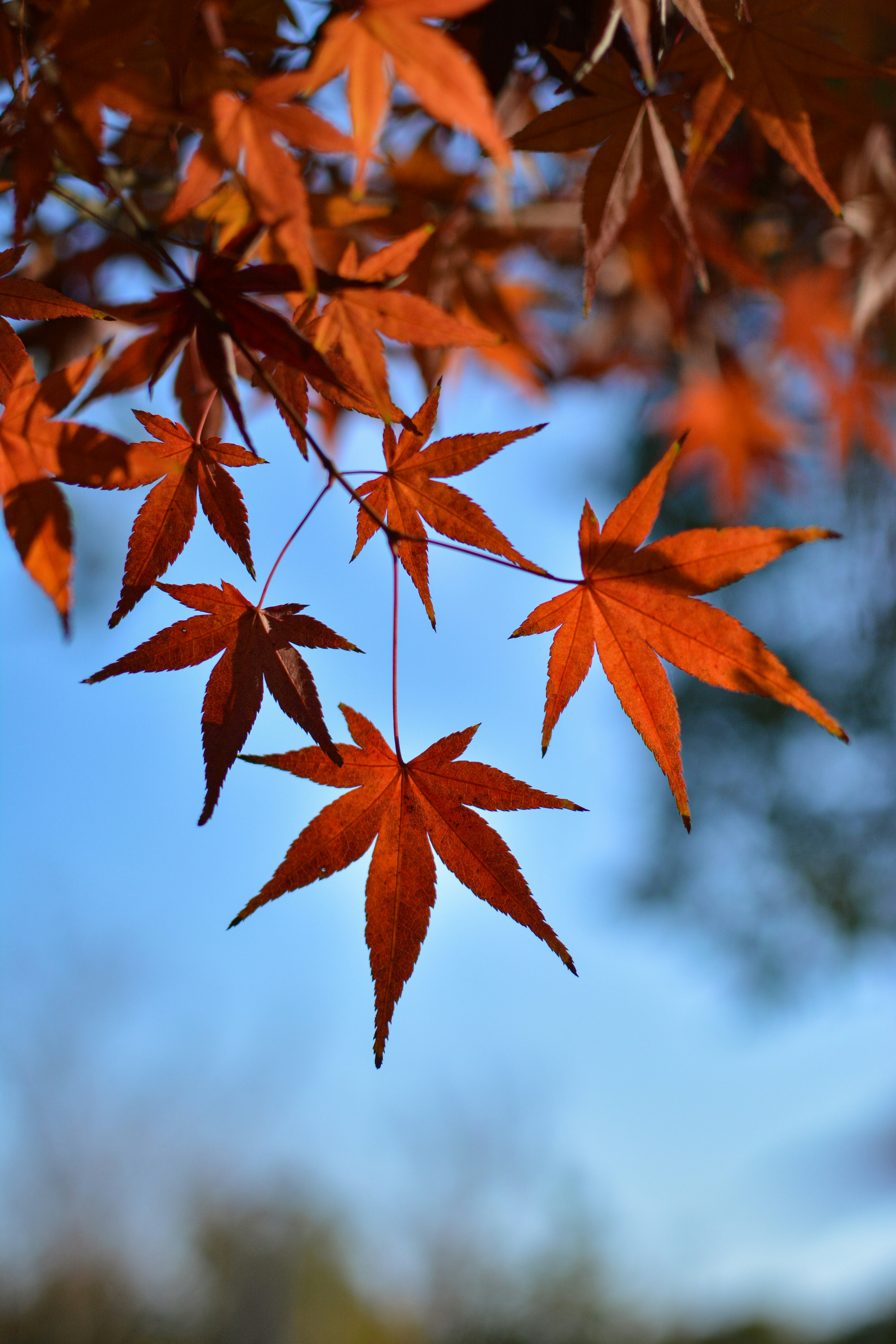 Photo by jing ai with Nikon D7100