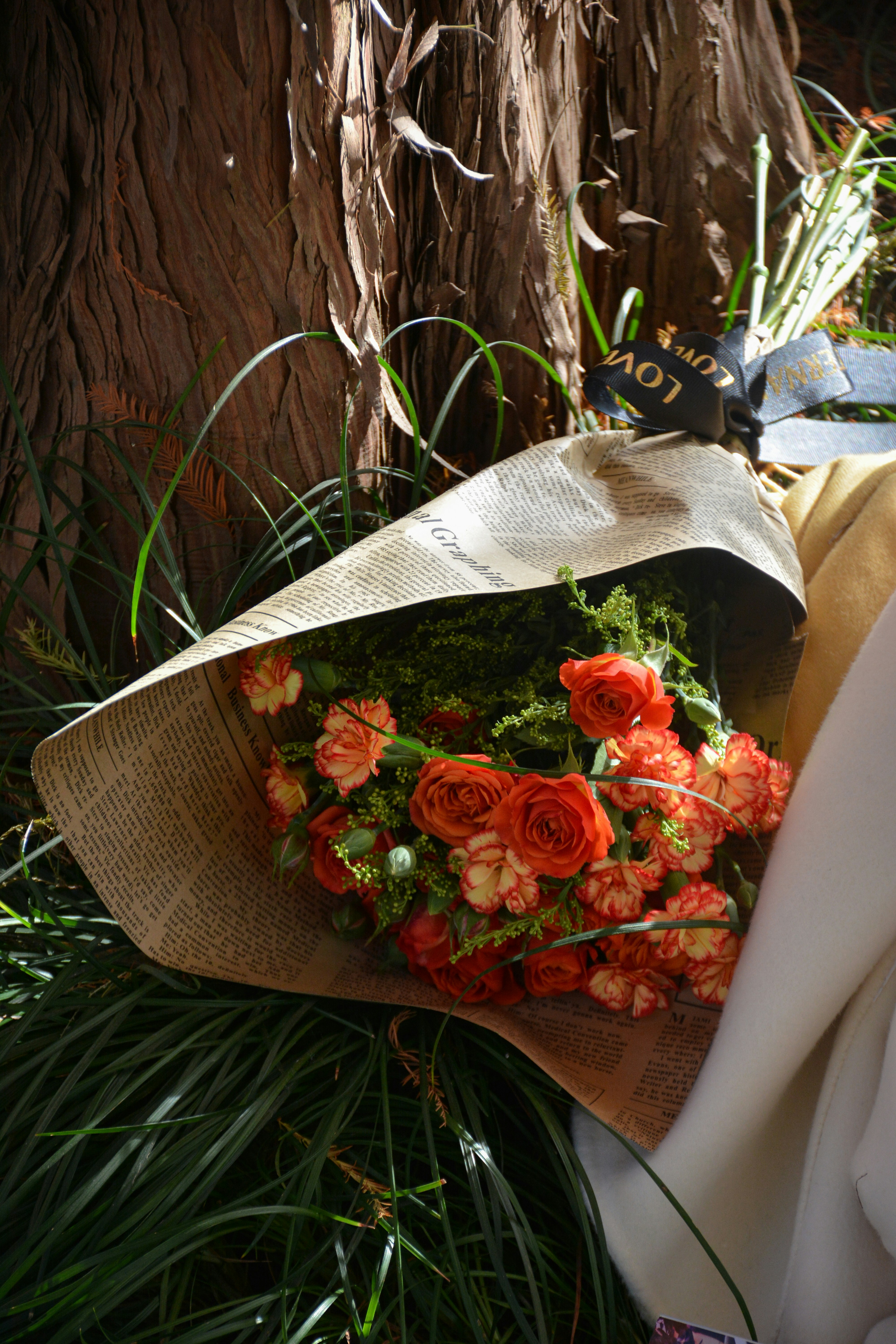 Photo by jing ai with Nikon D7100