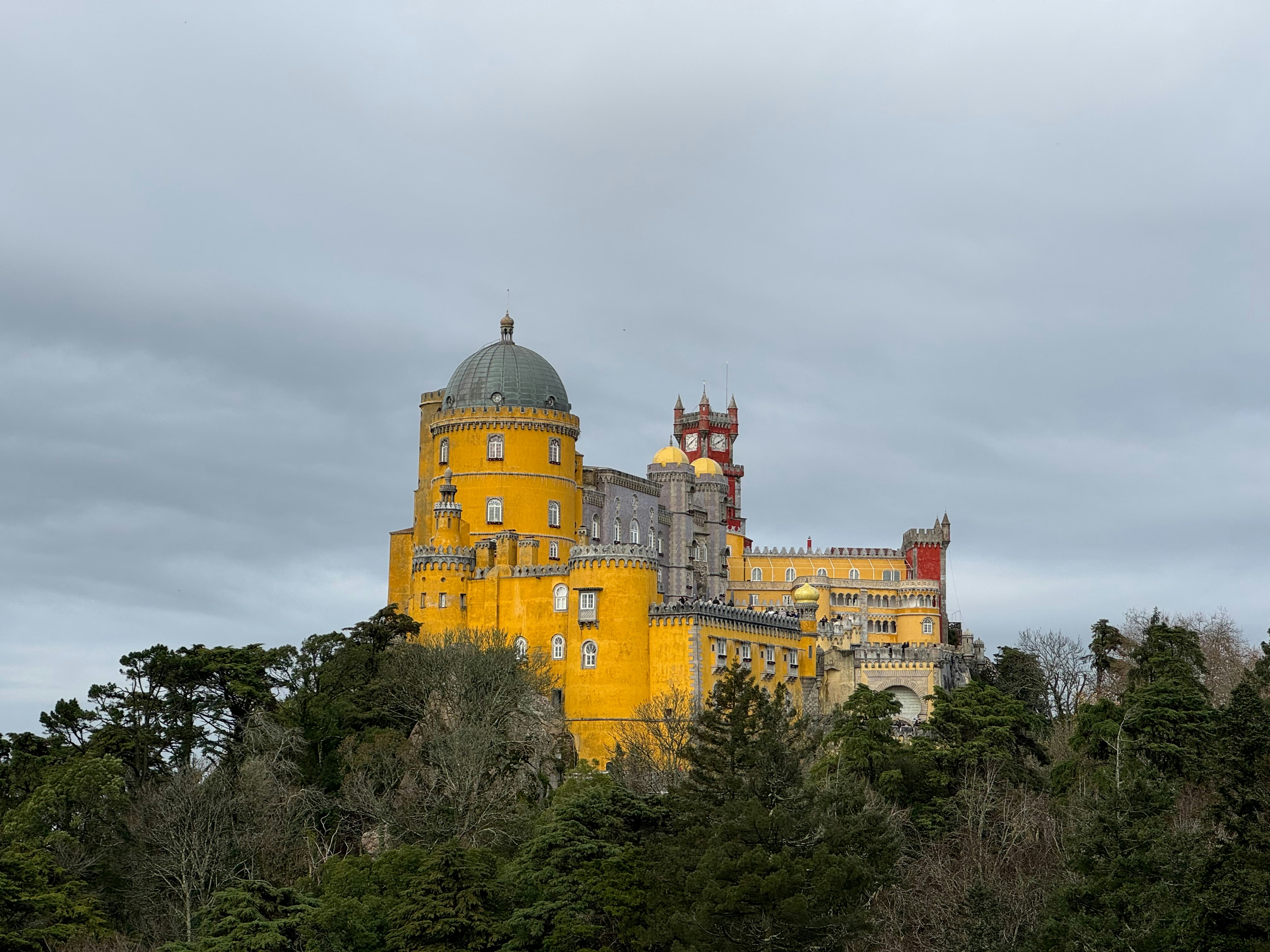 Golden Fortress Rising Above the Pines