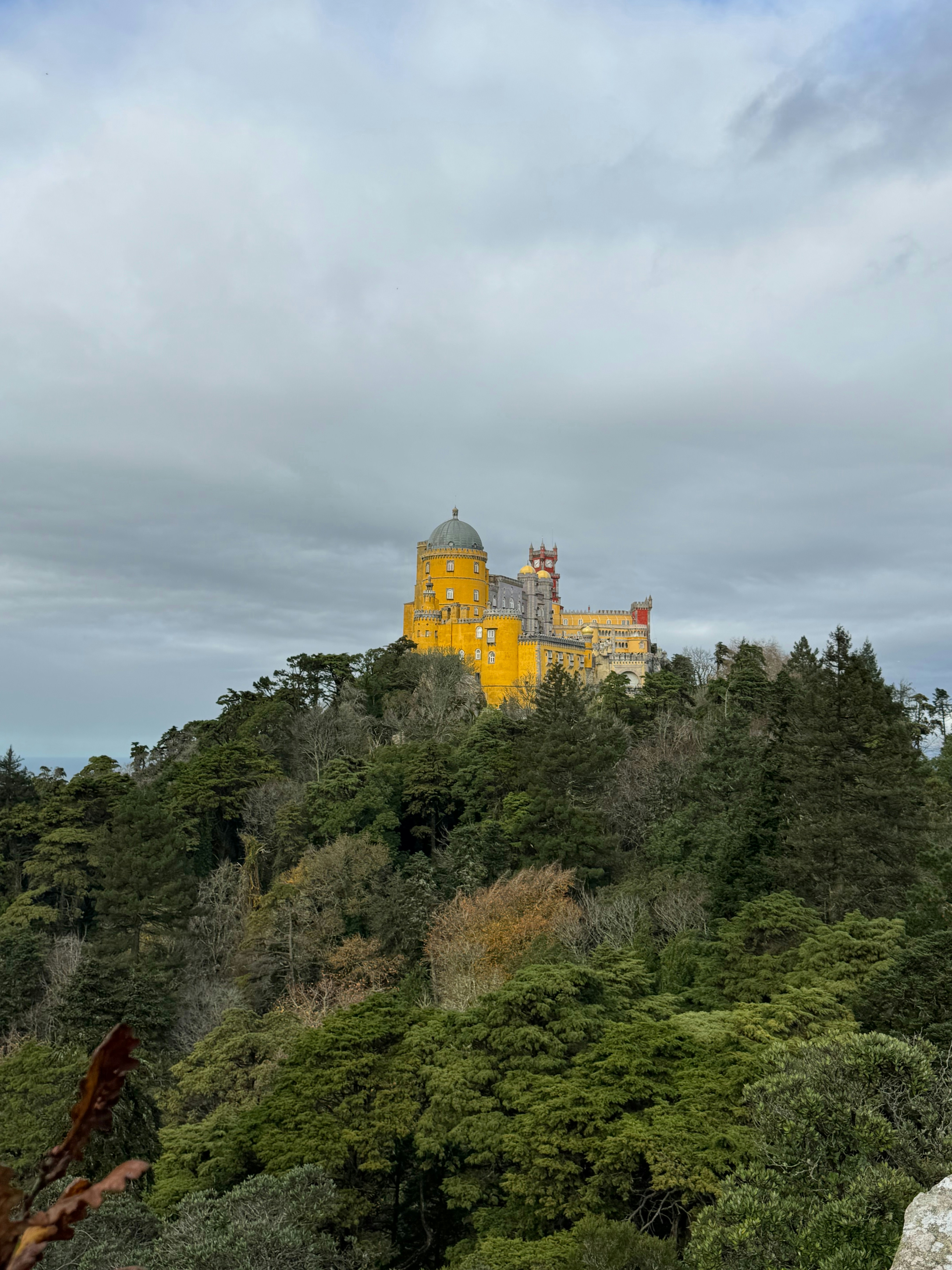 Golden Castle on the Forest Bastion