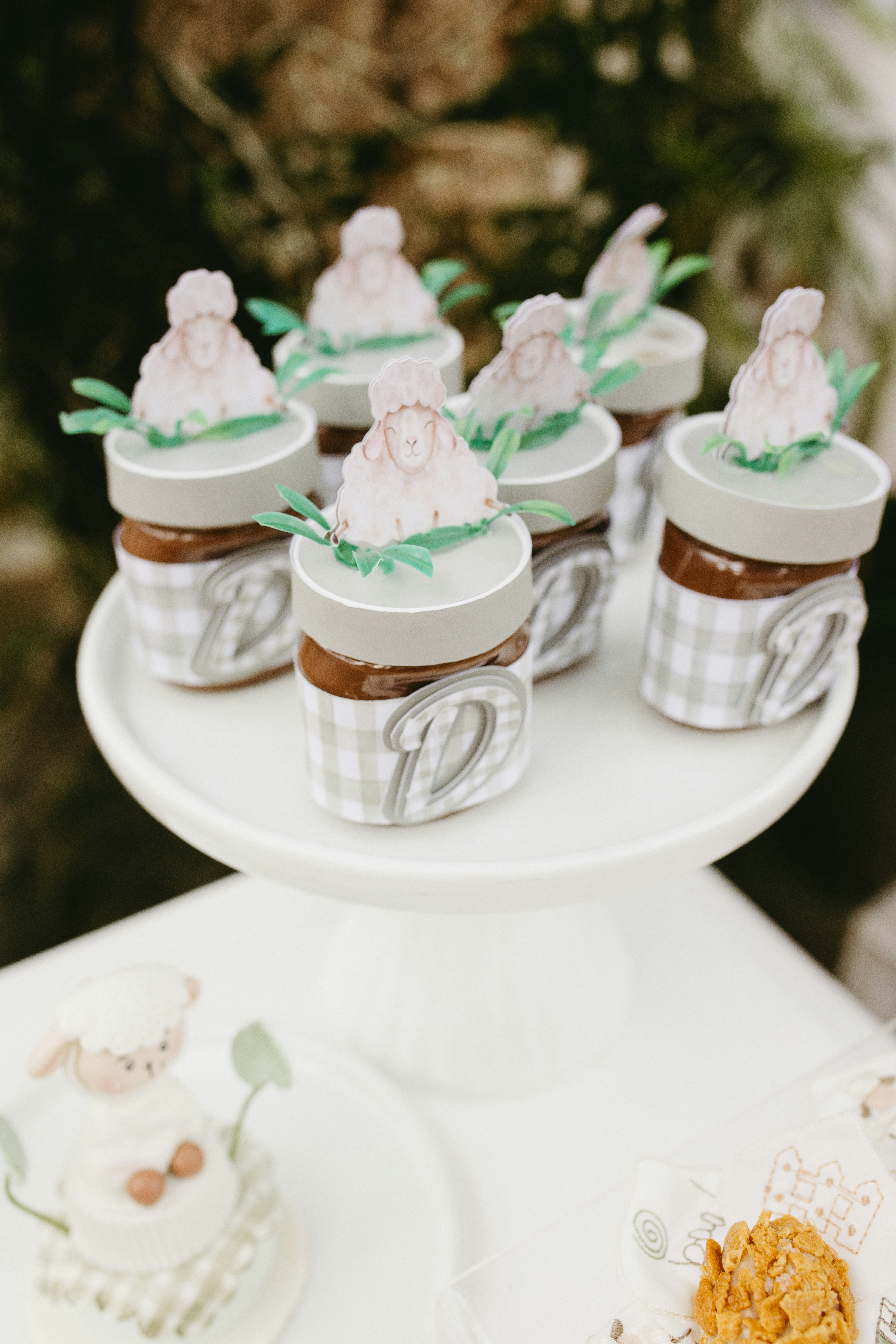 Photo by Jonathan Borba with Canon EOS R5