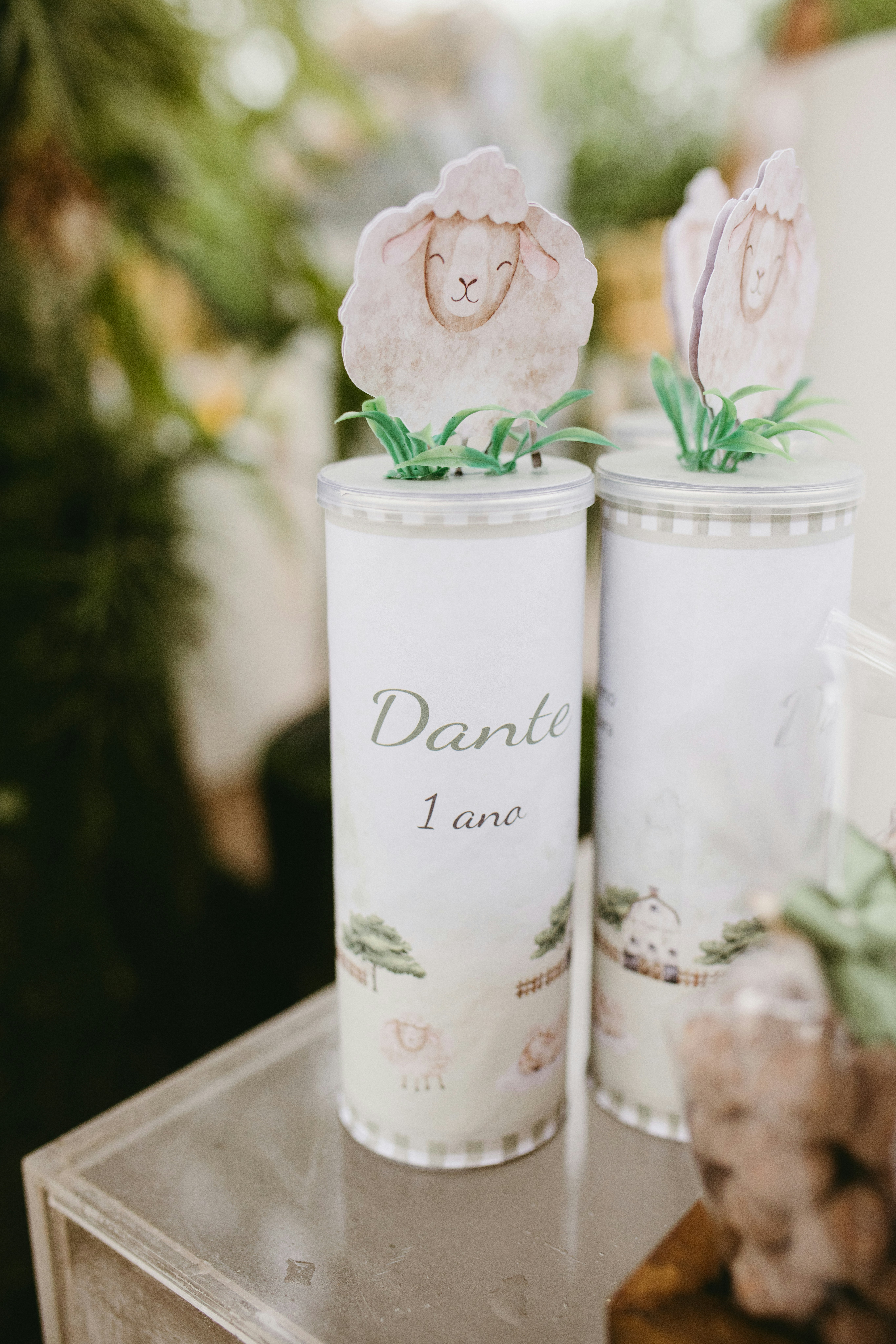 Sheathed by Soft Light: Labeled Keepsakes in a Quiet Corner