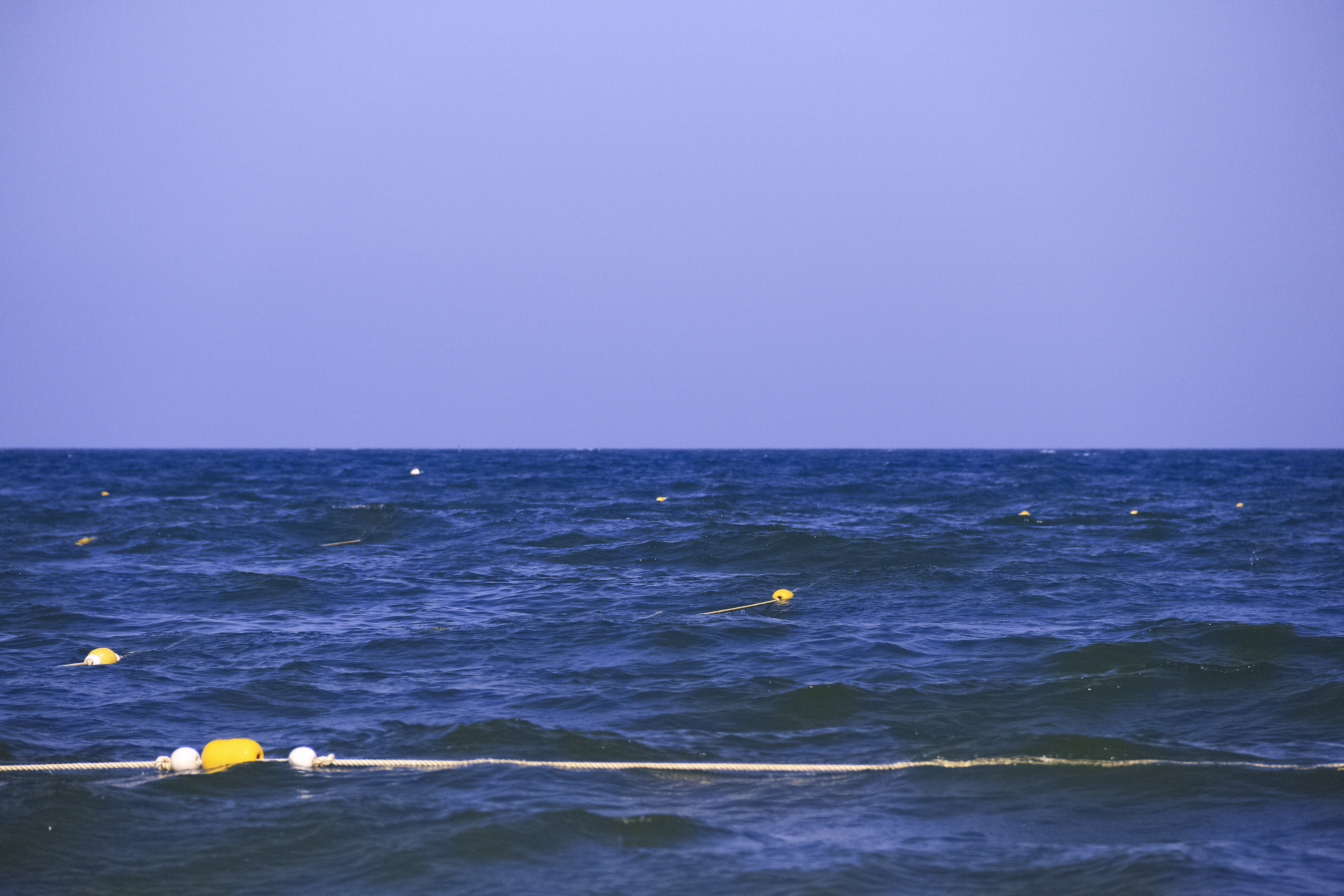 Photo by lan ouyang with Canon EOS 70D