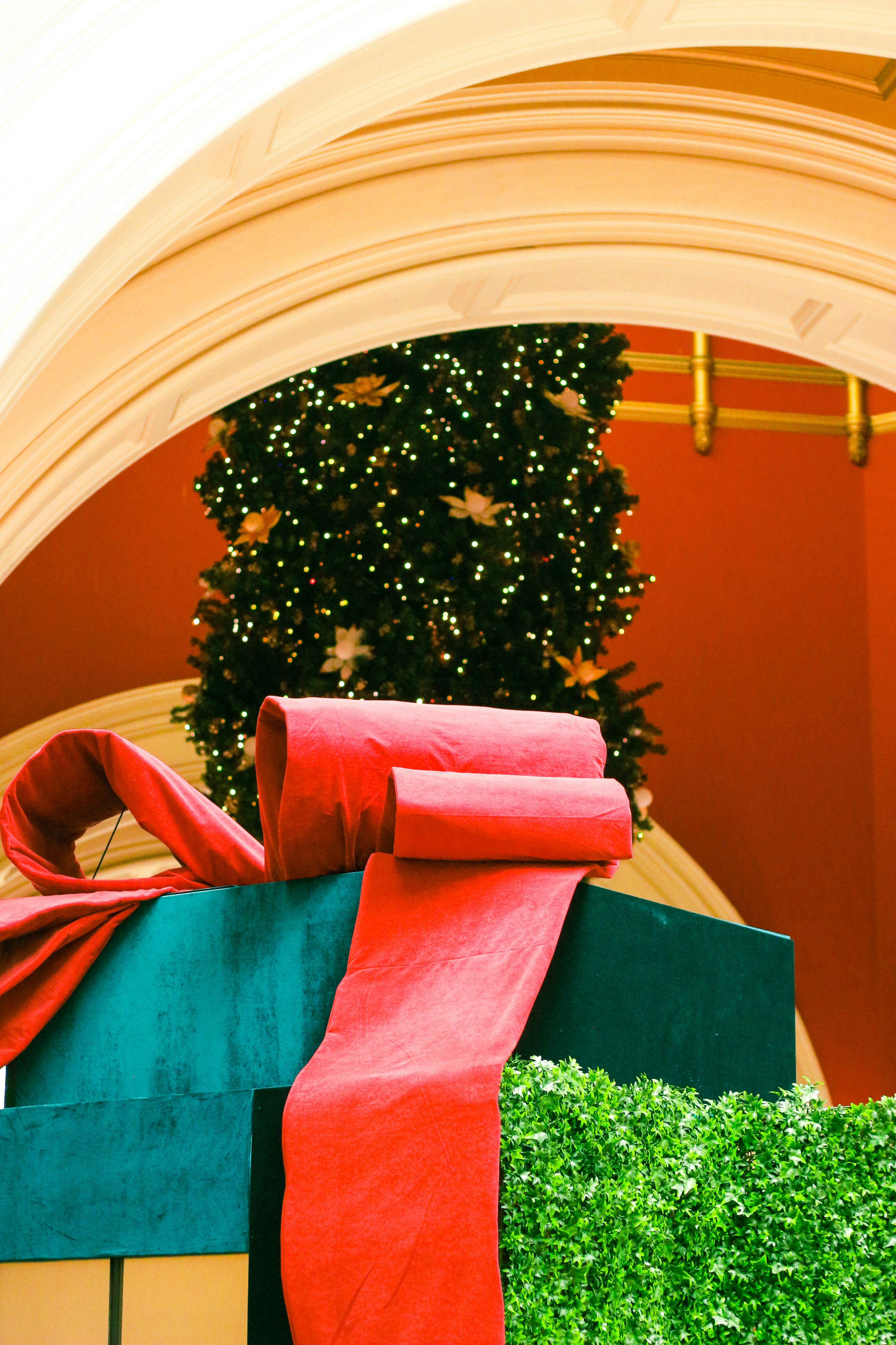 A Festive Gift under Archways and Lights