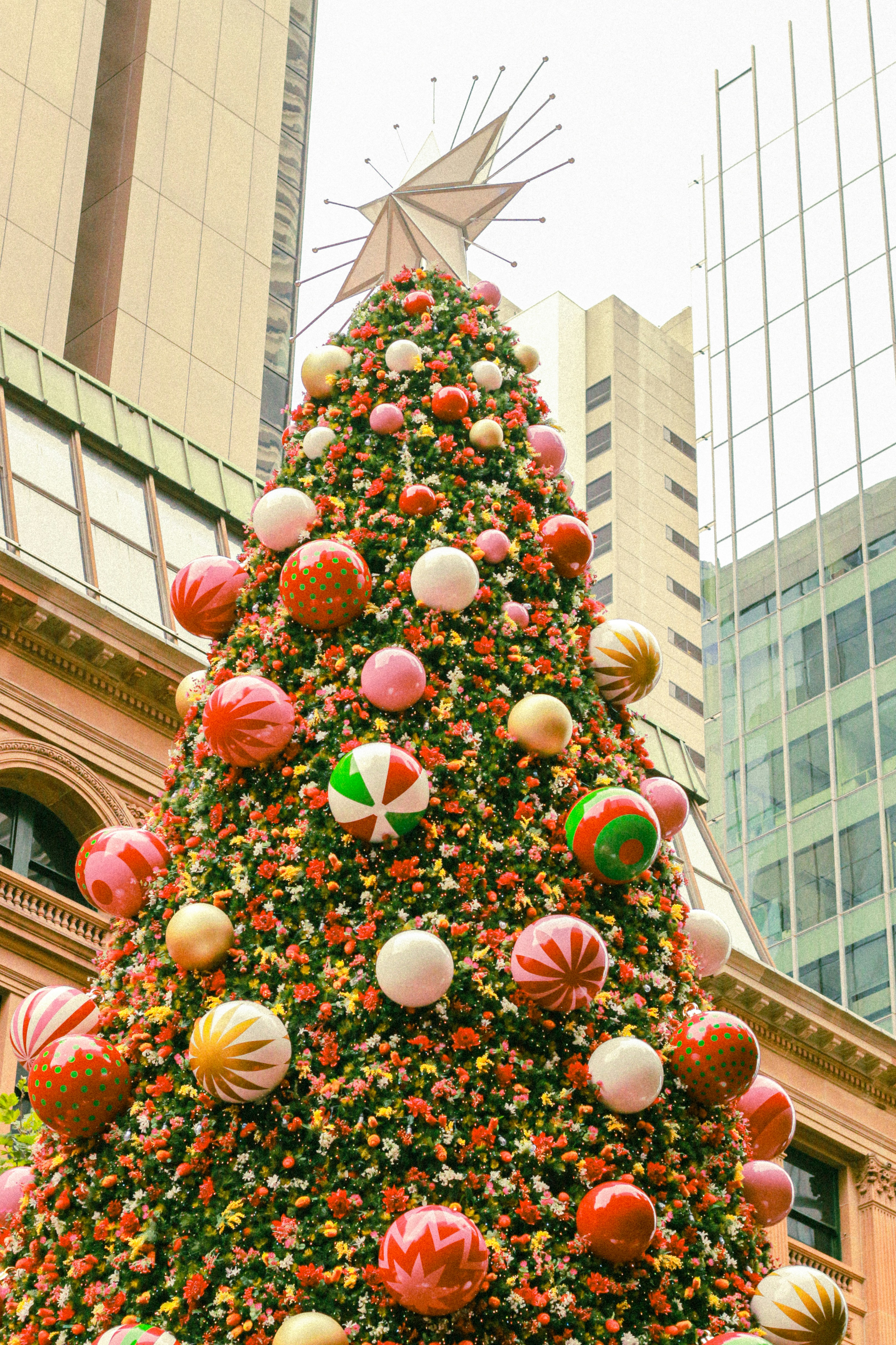Decorated christmas tree with ornaments in cityANNIE HATUANH