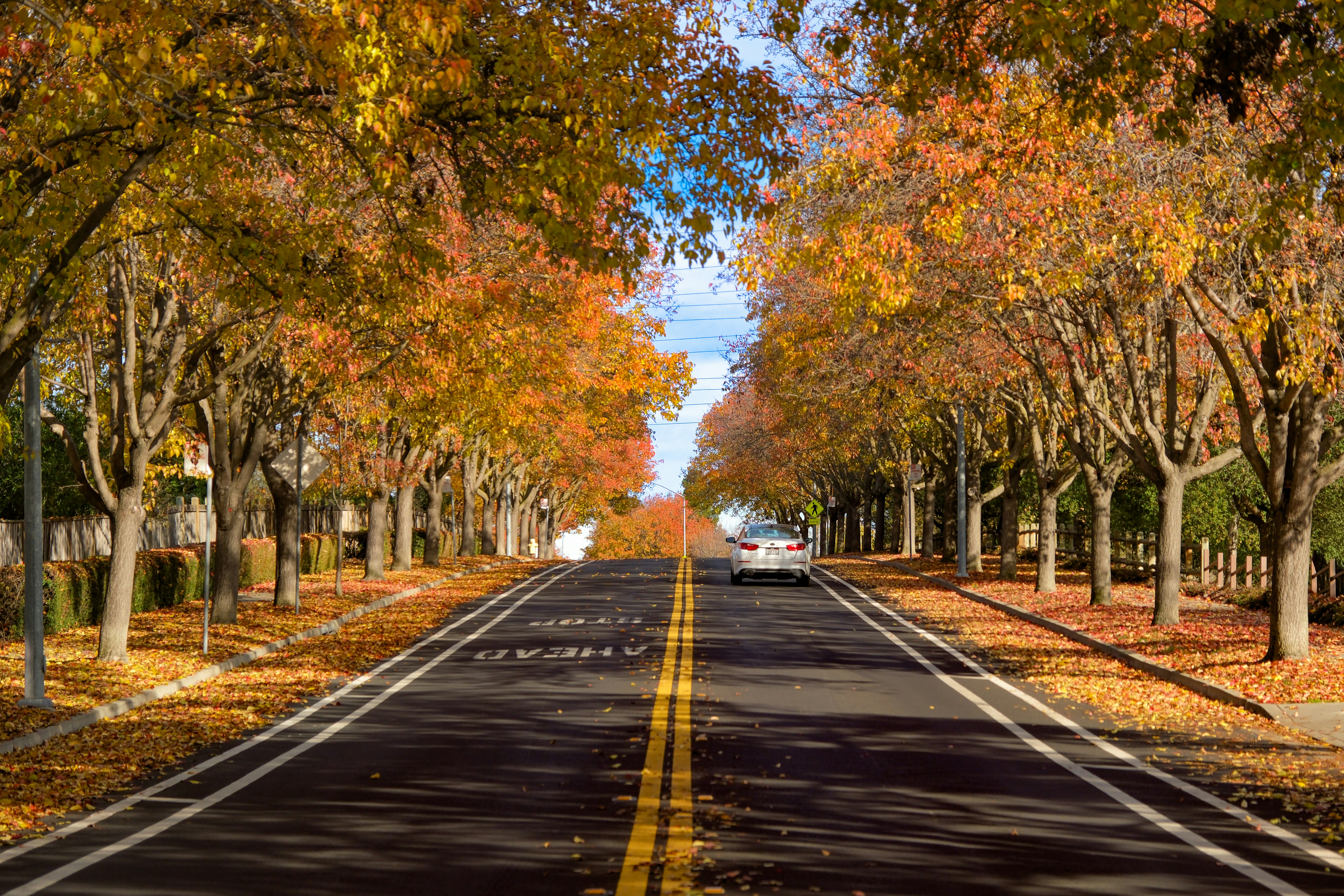 Photo by David Yao with Fujifilm X-T5