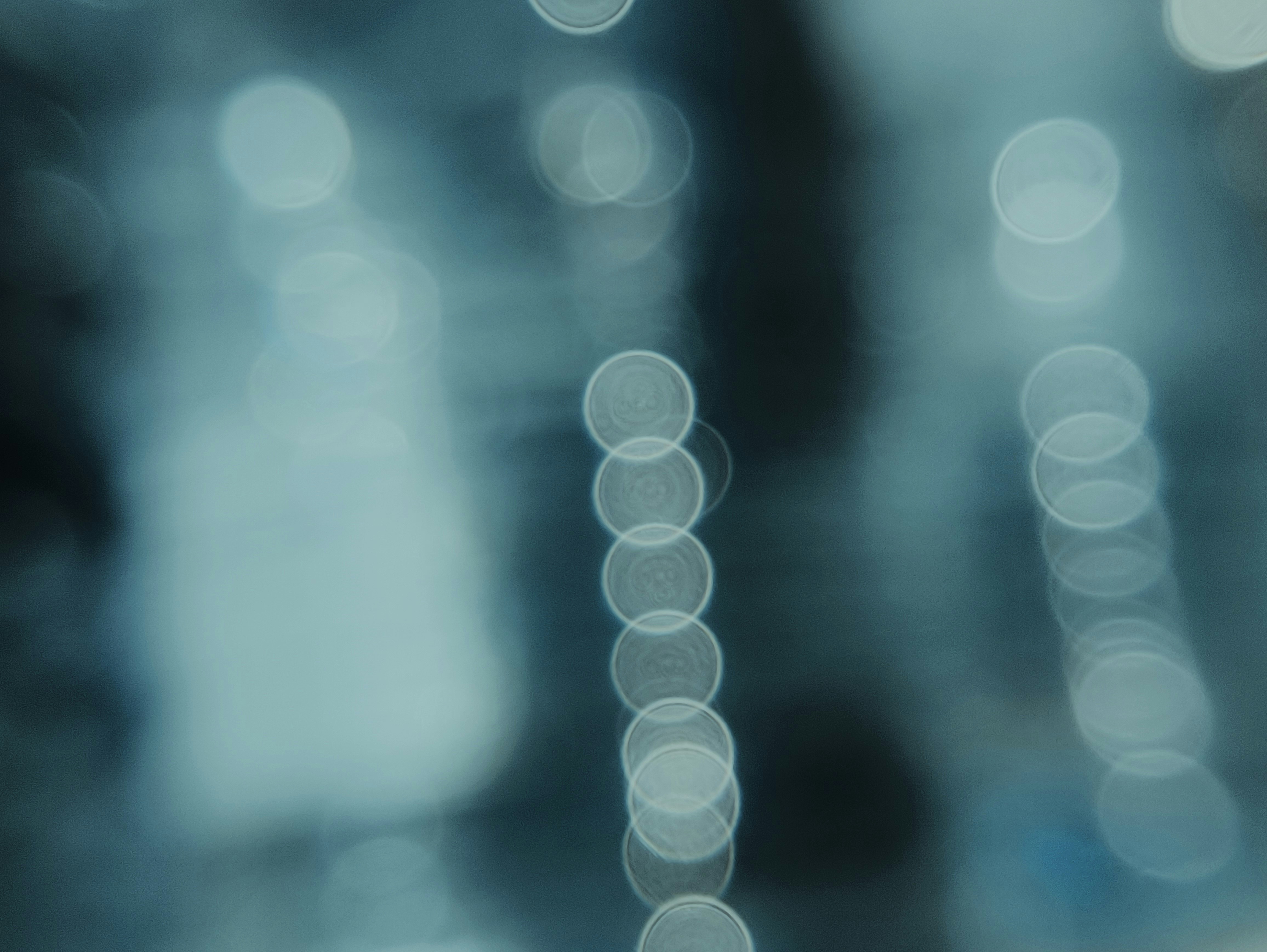 Photo by Anna Evans with Poco X6 Pro