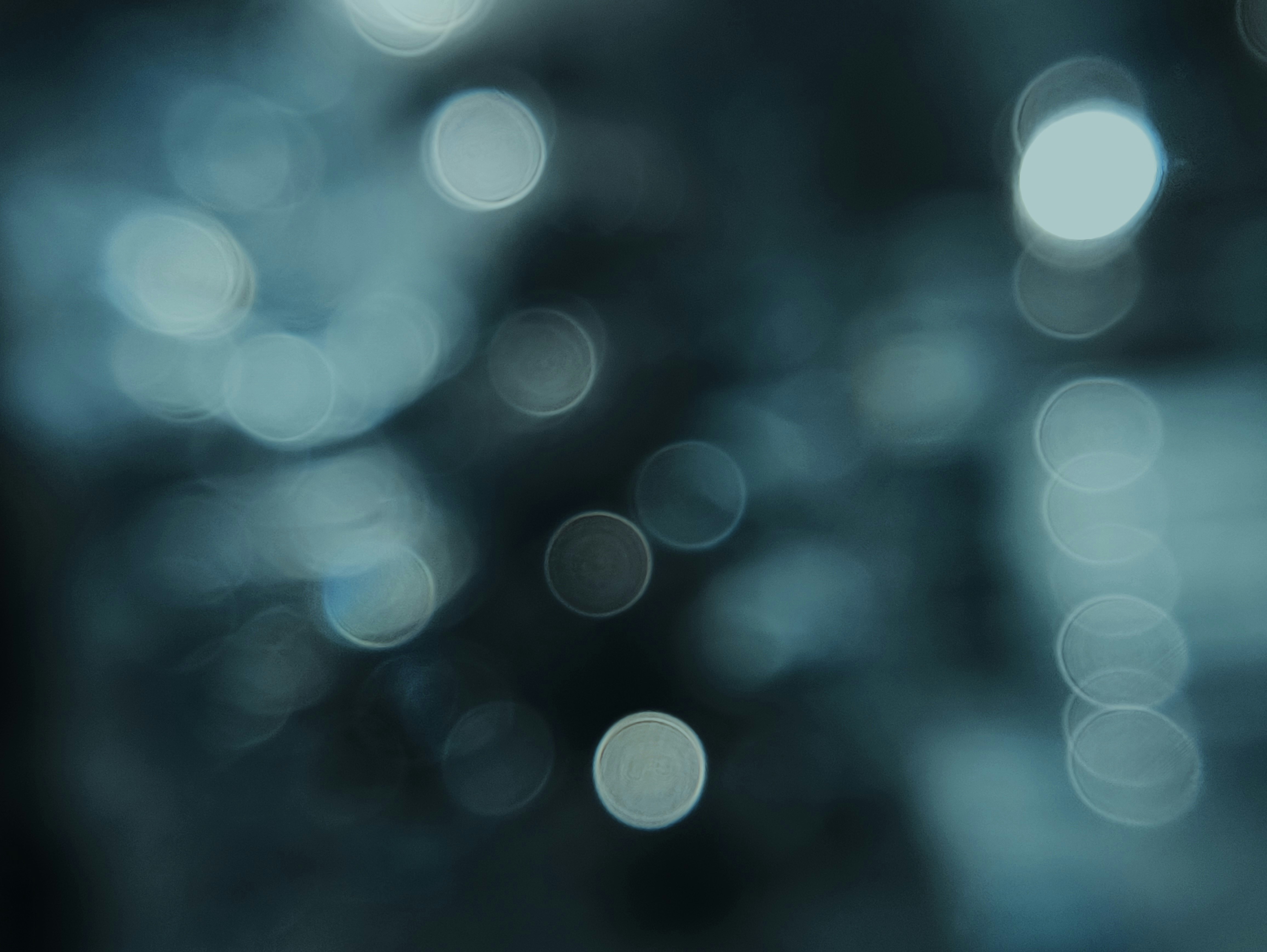 Photo by Anna Evans with Poco X6 Pro