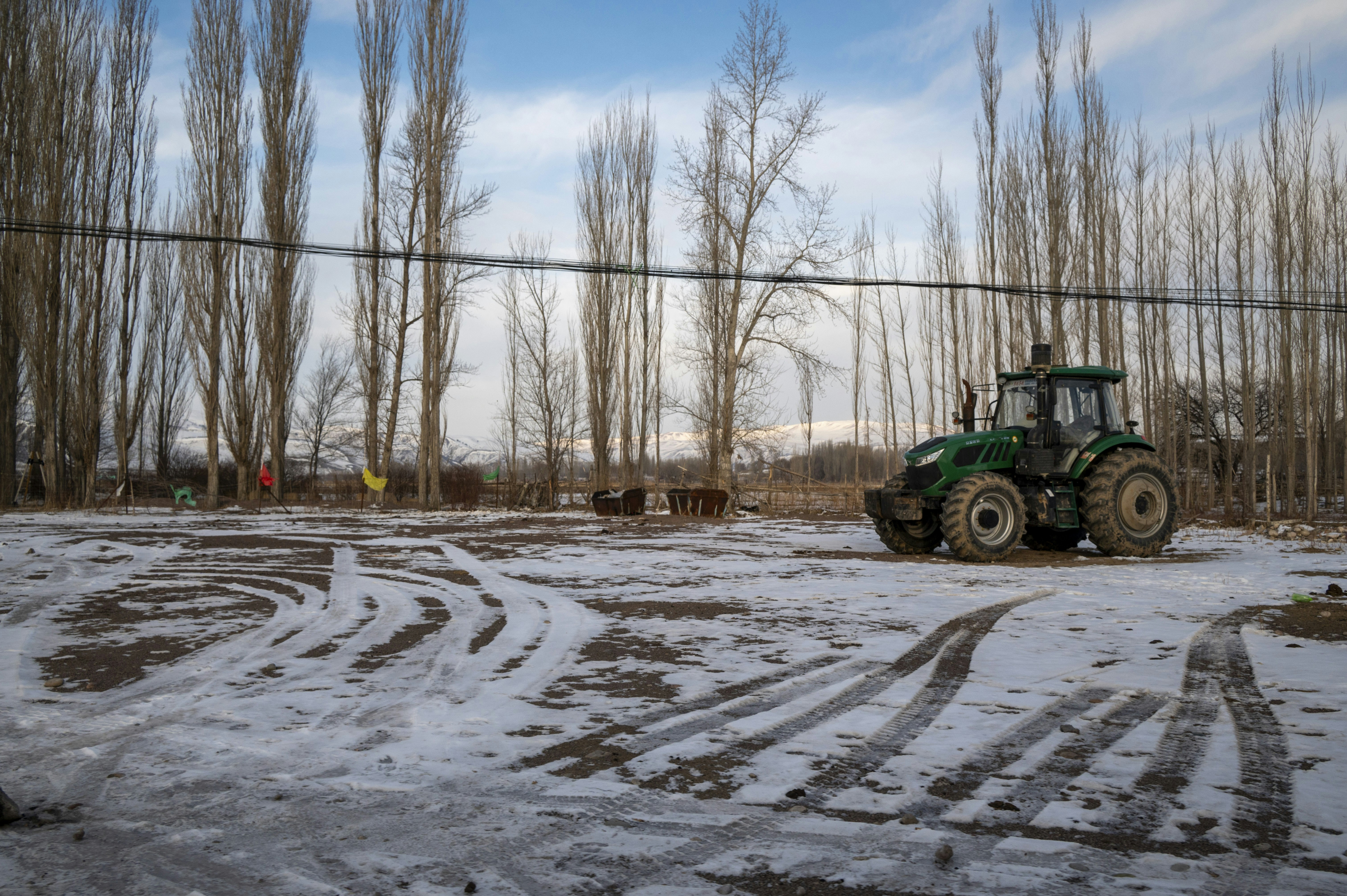Green tractor on snowy field under bare-line trees