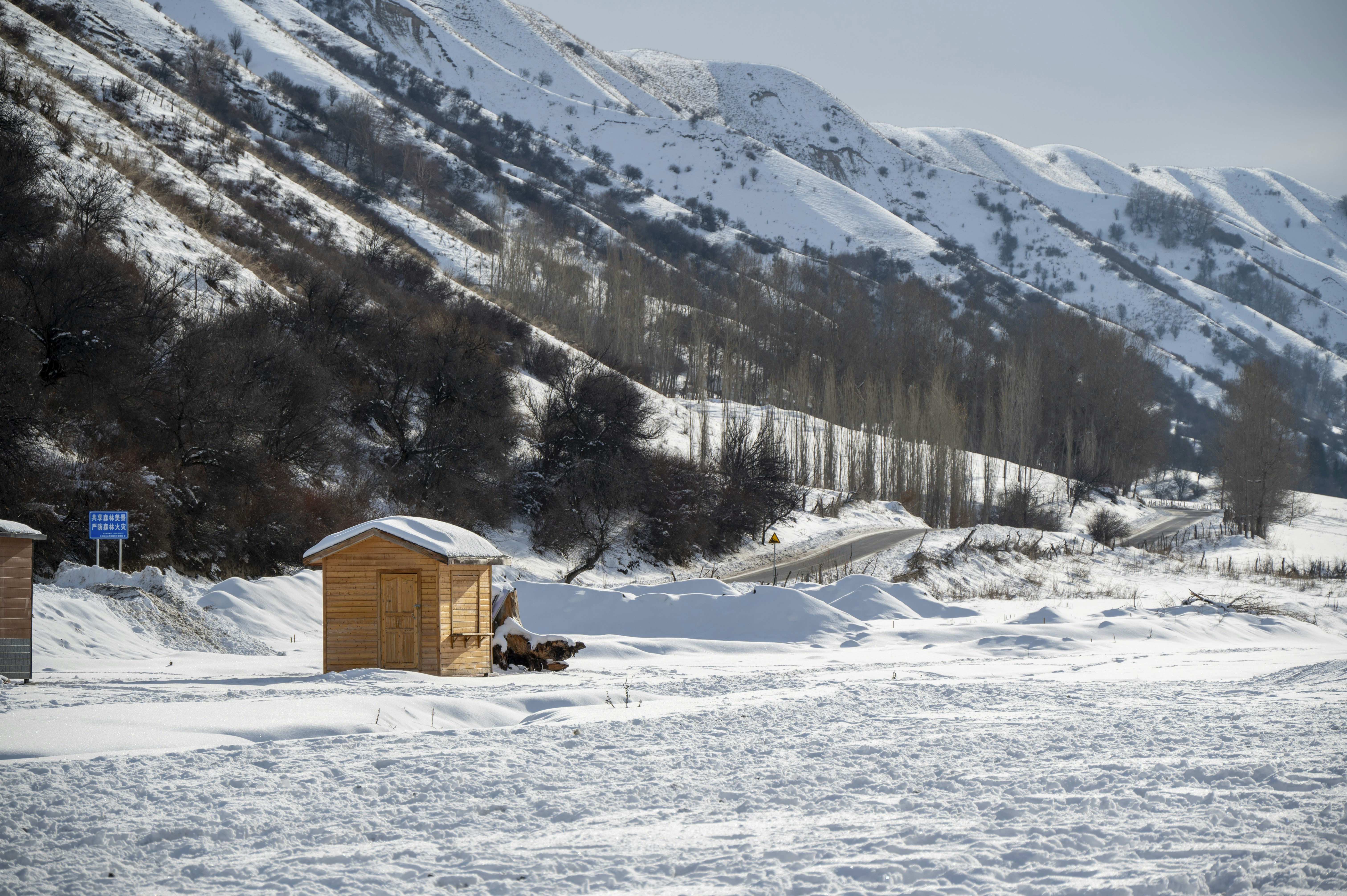 Snowbound Shelter: A Quiet Cabin Nestled at the Base of Frosted Ridges