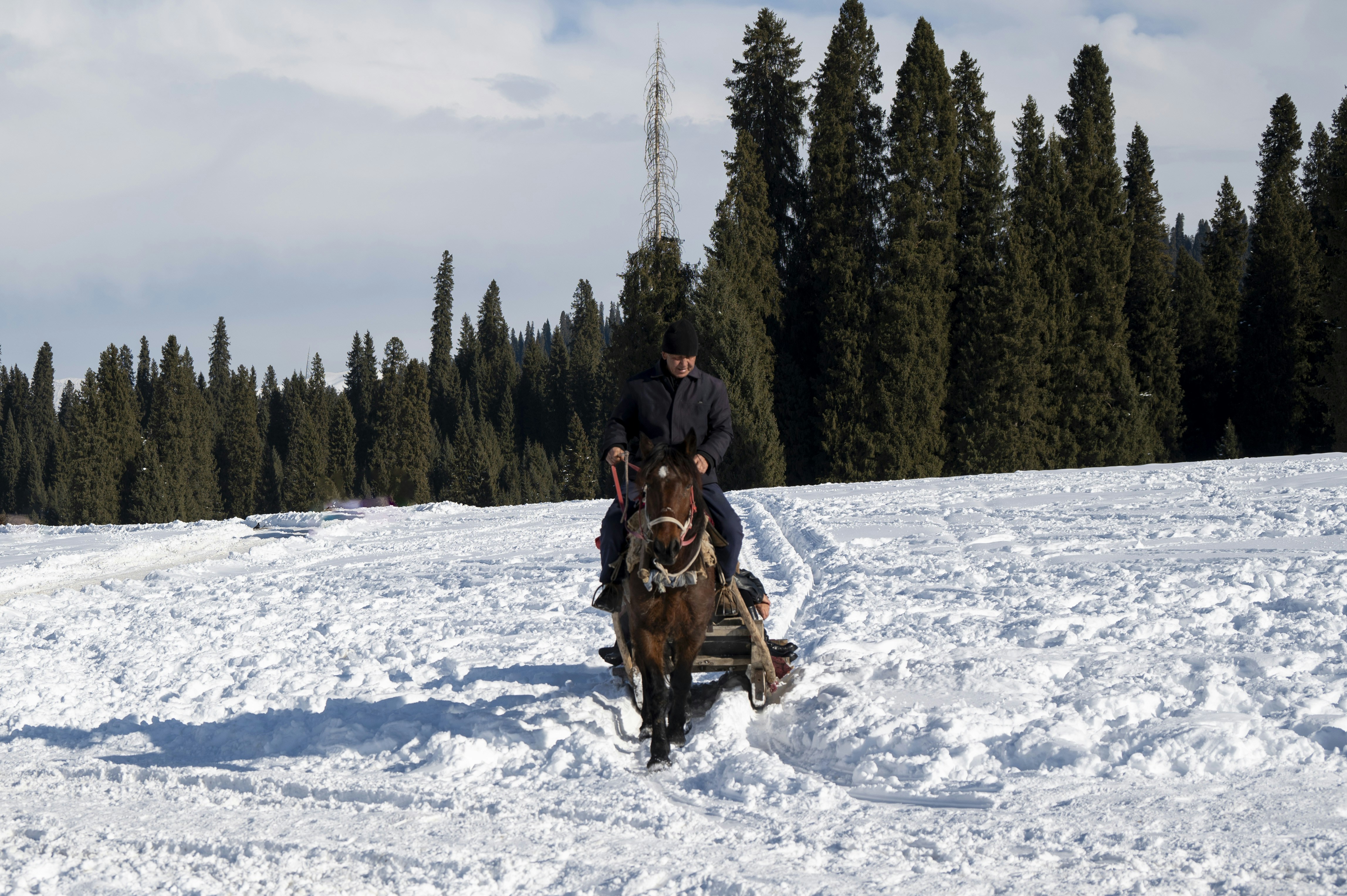 Snowbound Rider: A Lone Figure on a Fading Trail