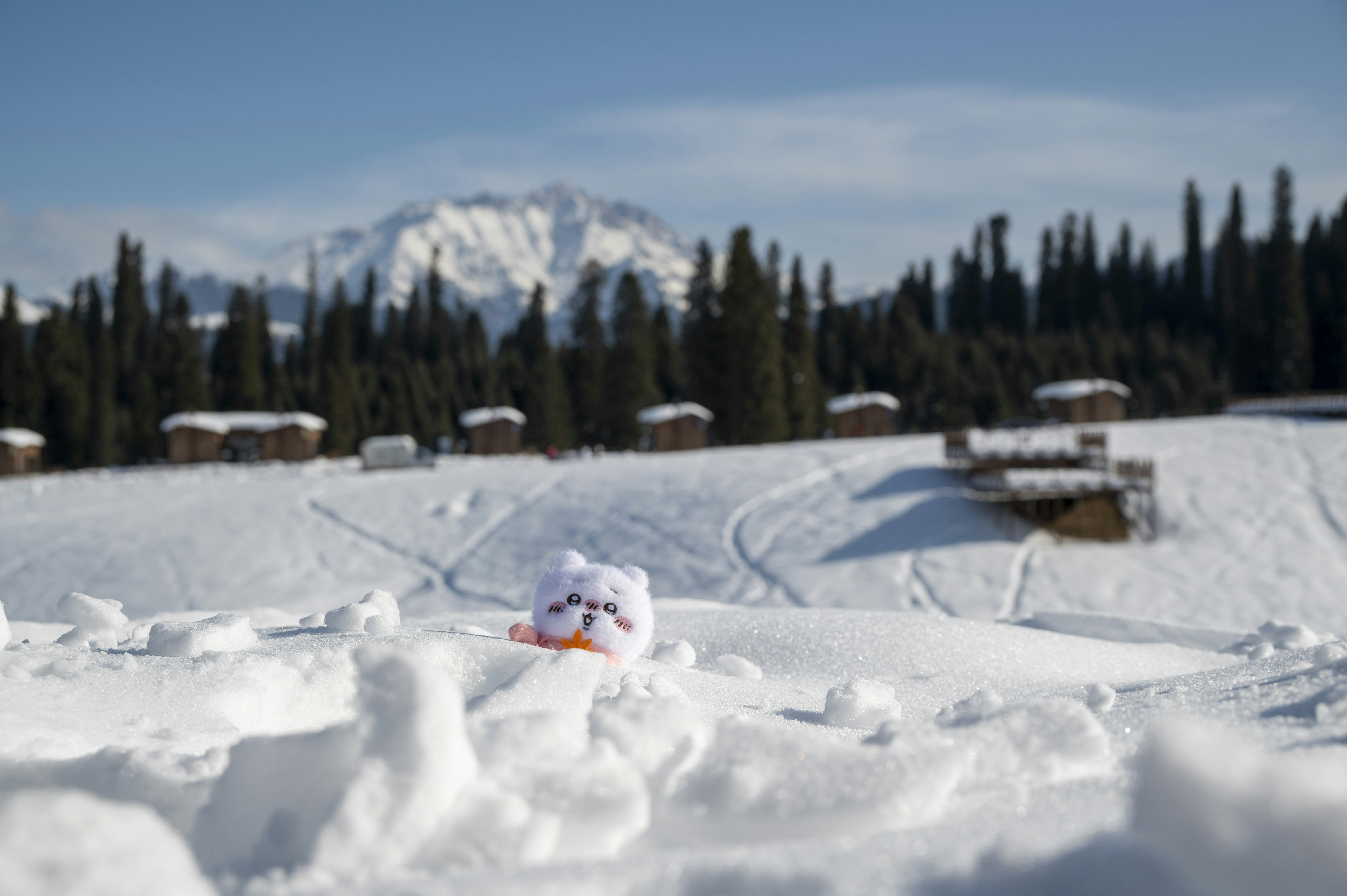 Snowy Foothill Toy in Focus