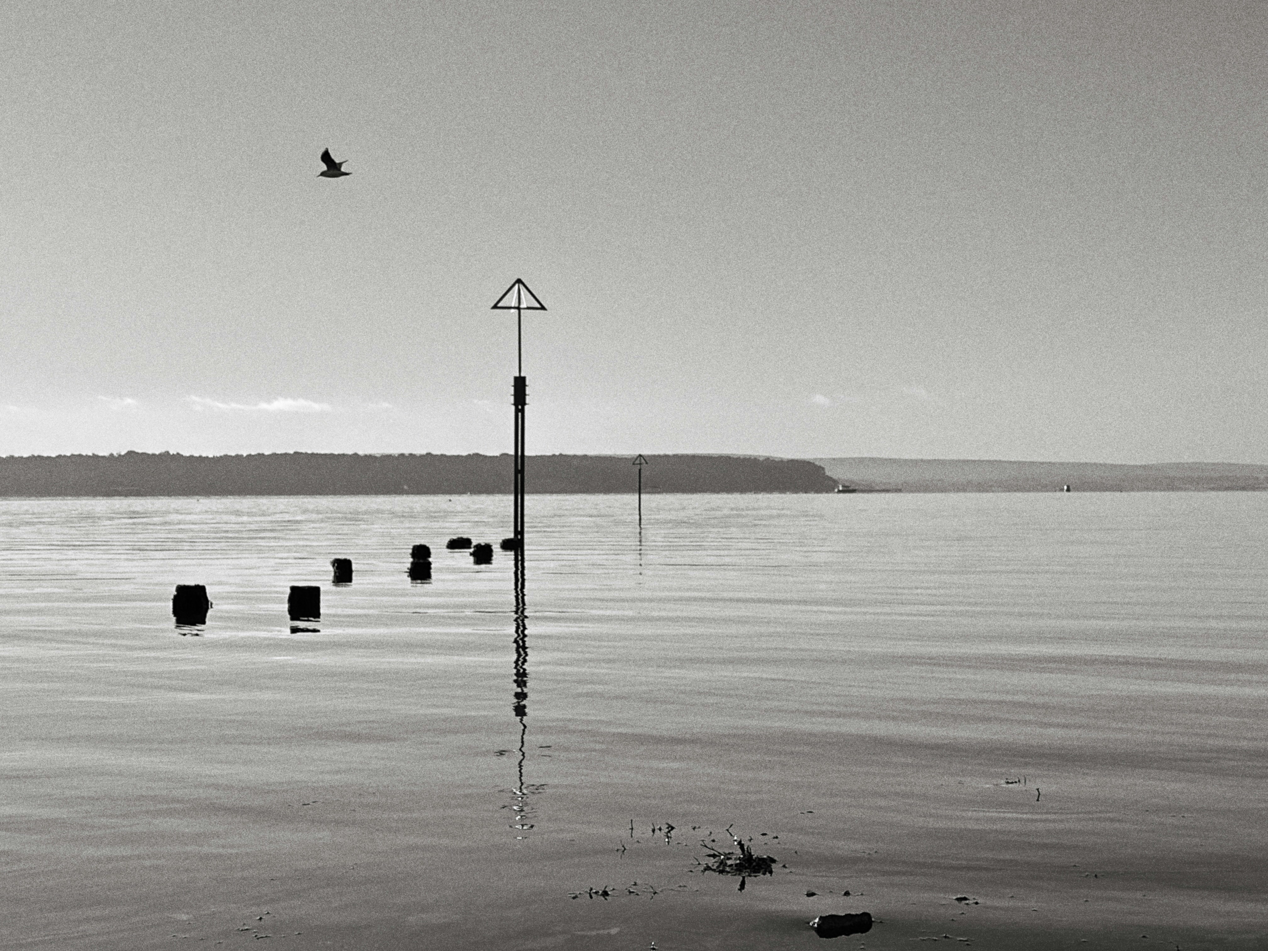 Still Signals: A Quiet Marker in the Dusk Canada Bay