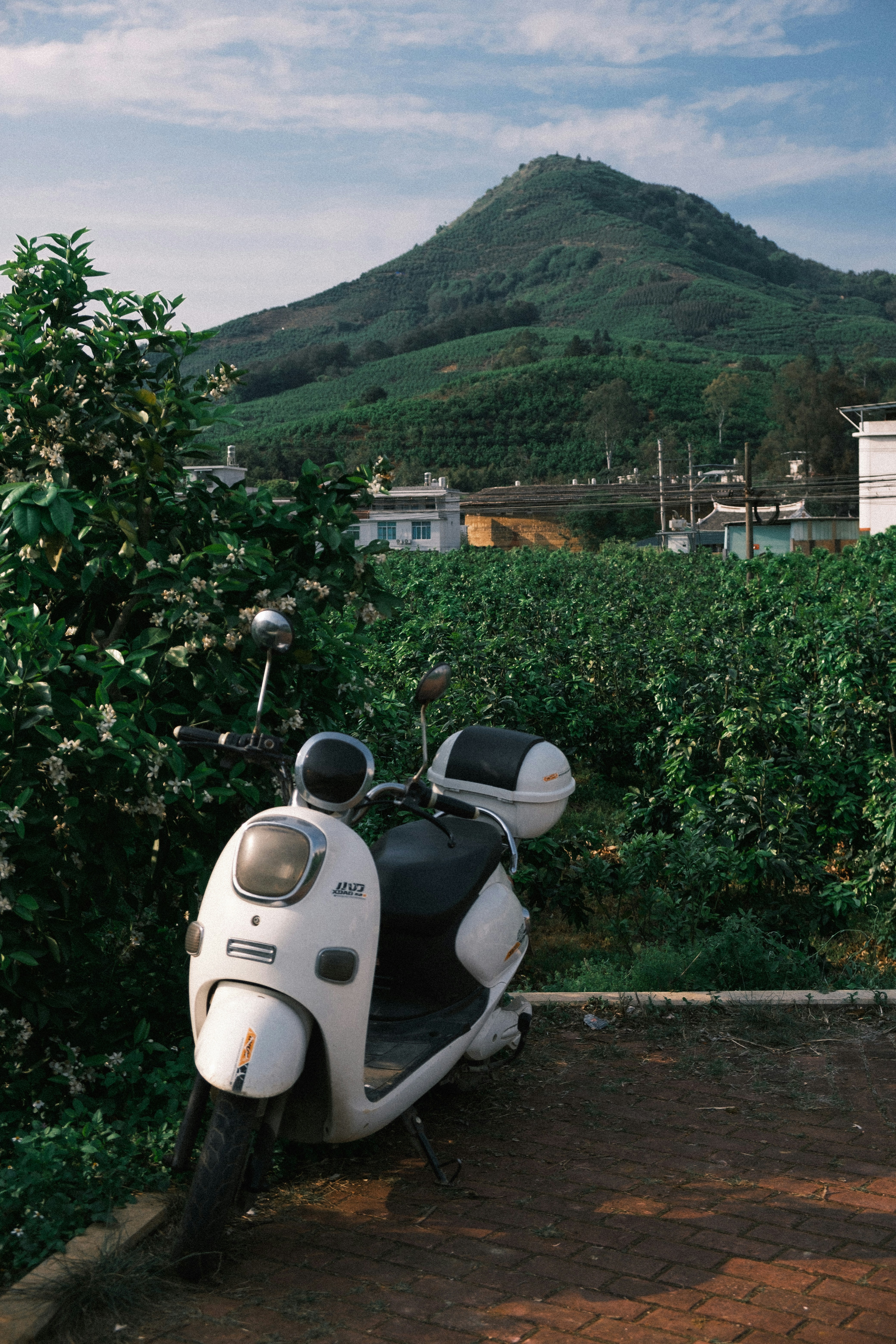 White Vespa in a sunlit courtyard with green hedges and a hill