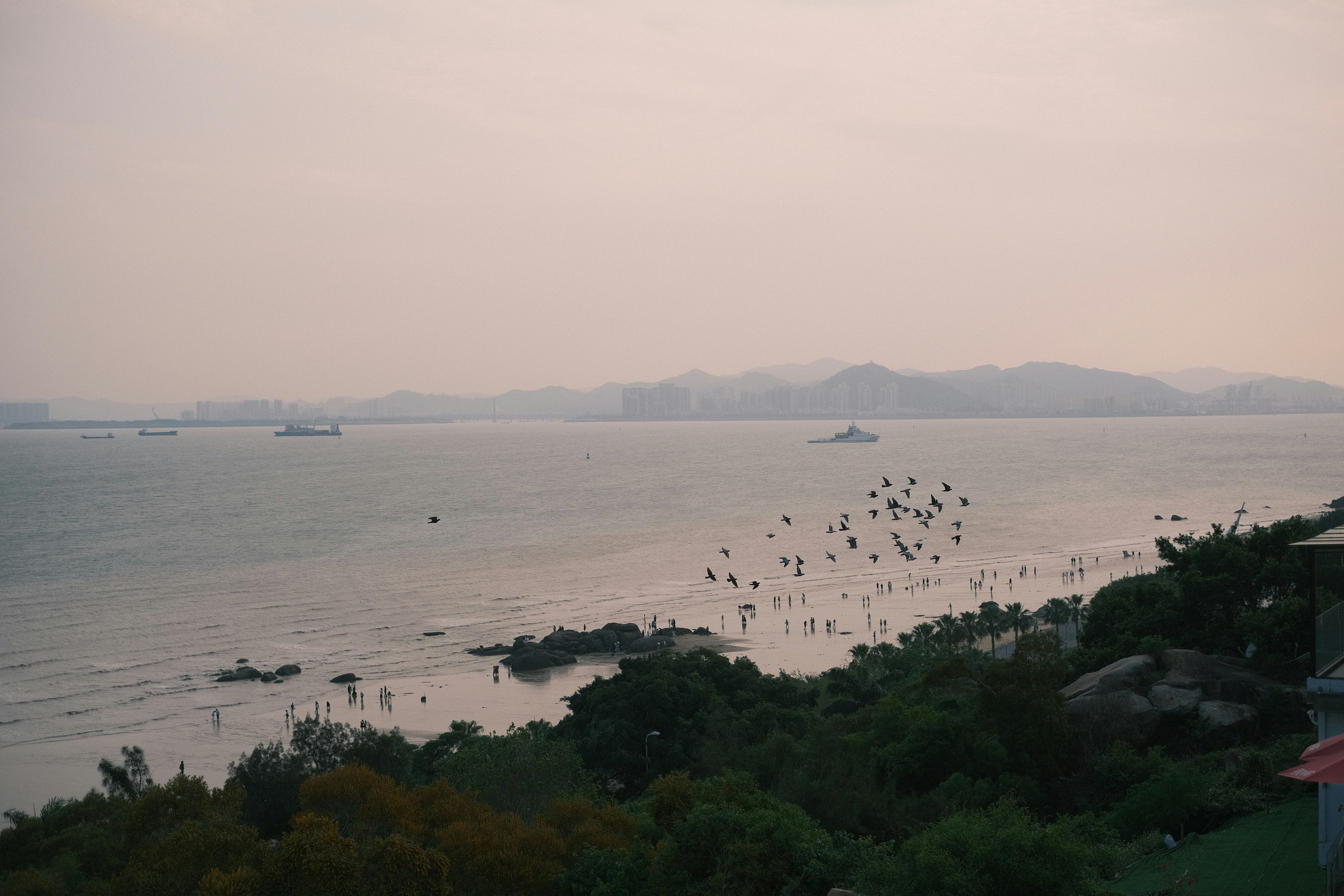 Dusk over the bay: silhouettes of birds and distant ships