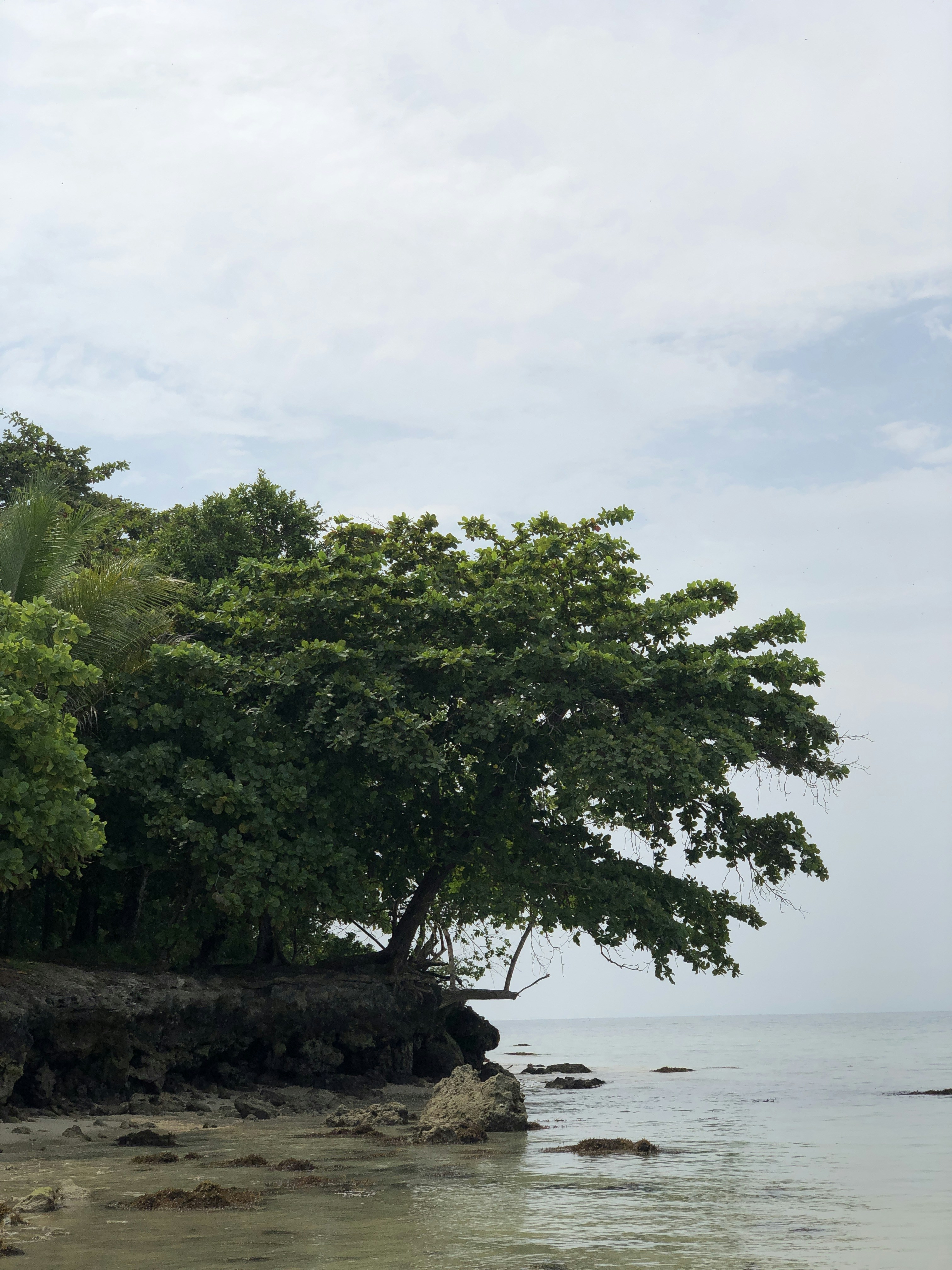 A peaceful coastal view of Liwungan Island and Liwungan Beach in Banten, Indonesia, featuring clear blue waters, soft shoreline curves, and an open tropical horizon. The scene captures the quiet character of an untouched island environment, highlighting Indonesia’s natural coastal landscapes. Photographed by Ardan Ridho, this image reflects a calm, minimalist approach to travel and nature photography.
