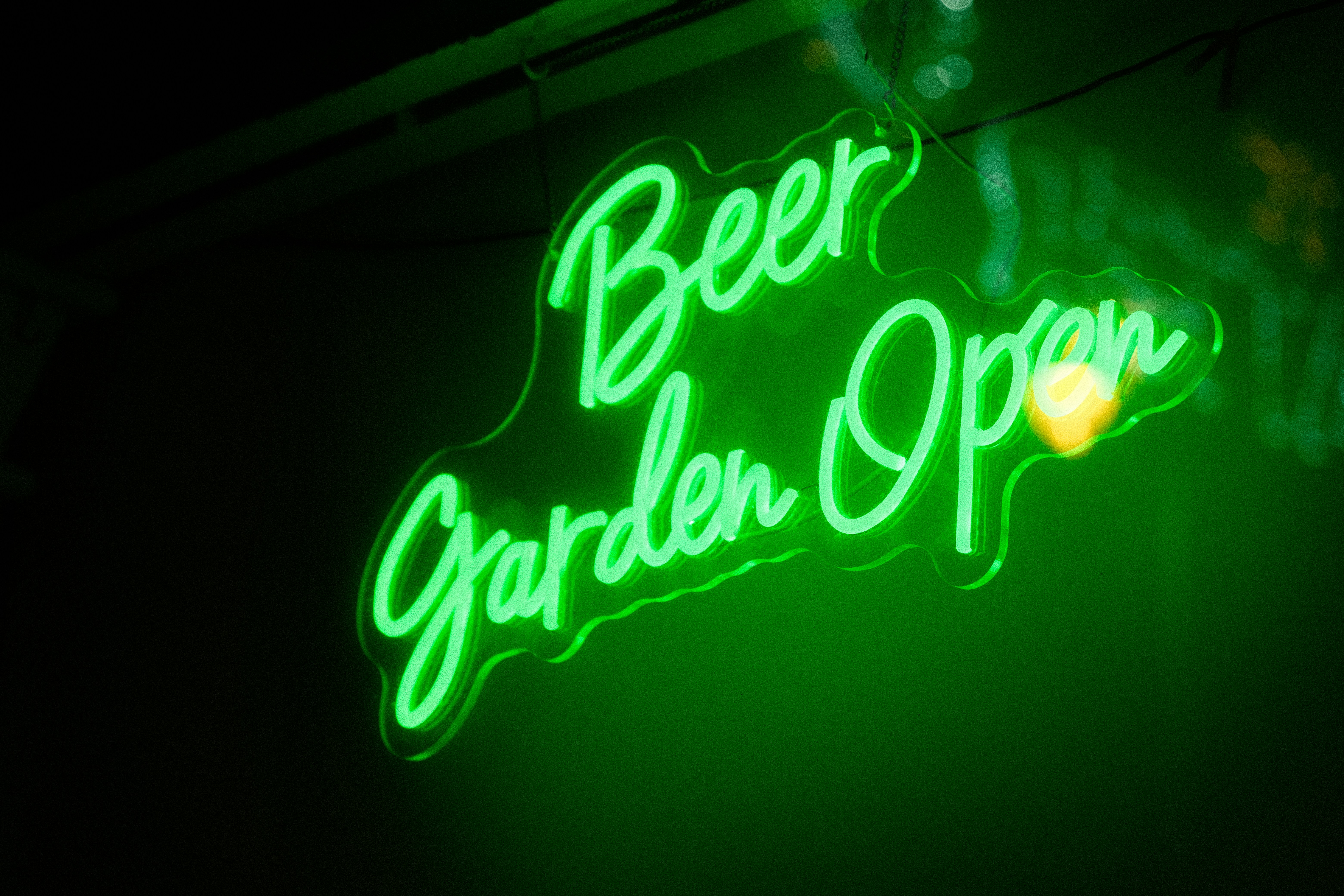 Neon Garden: A Green Sign Illuminate the Quiet Night