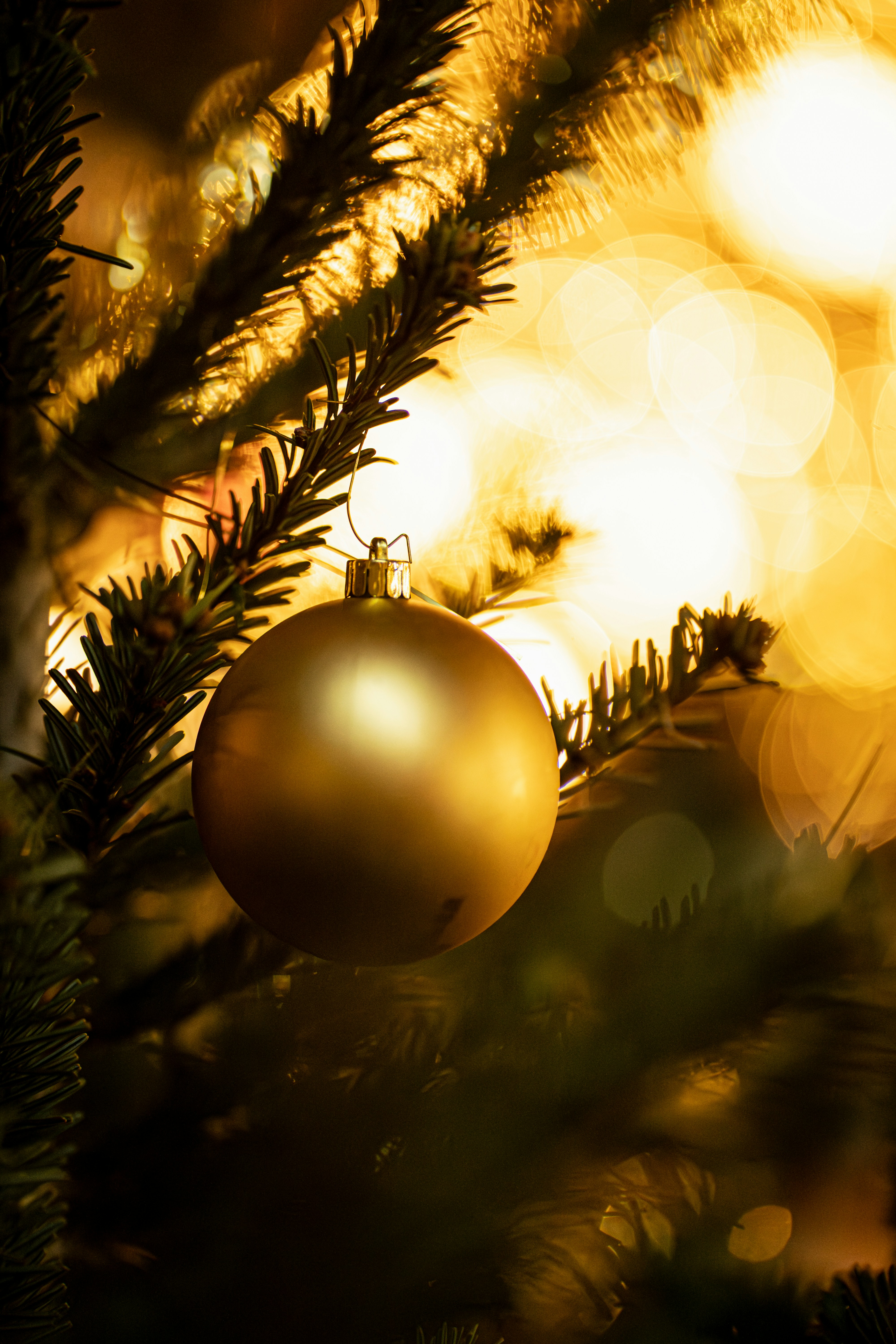 Golden Ornament Adorns a Velvet-Soft Holiday Glow