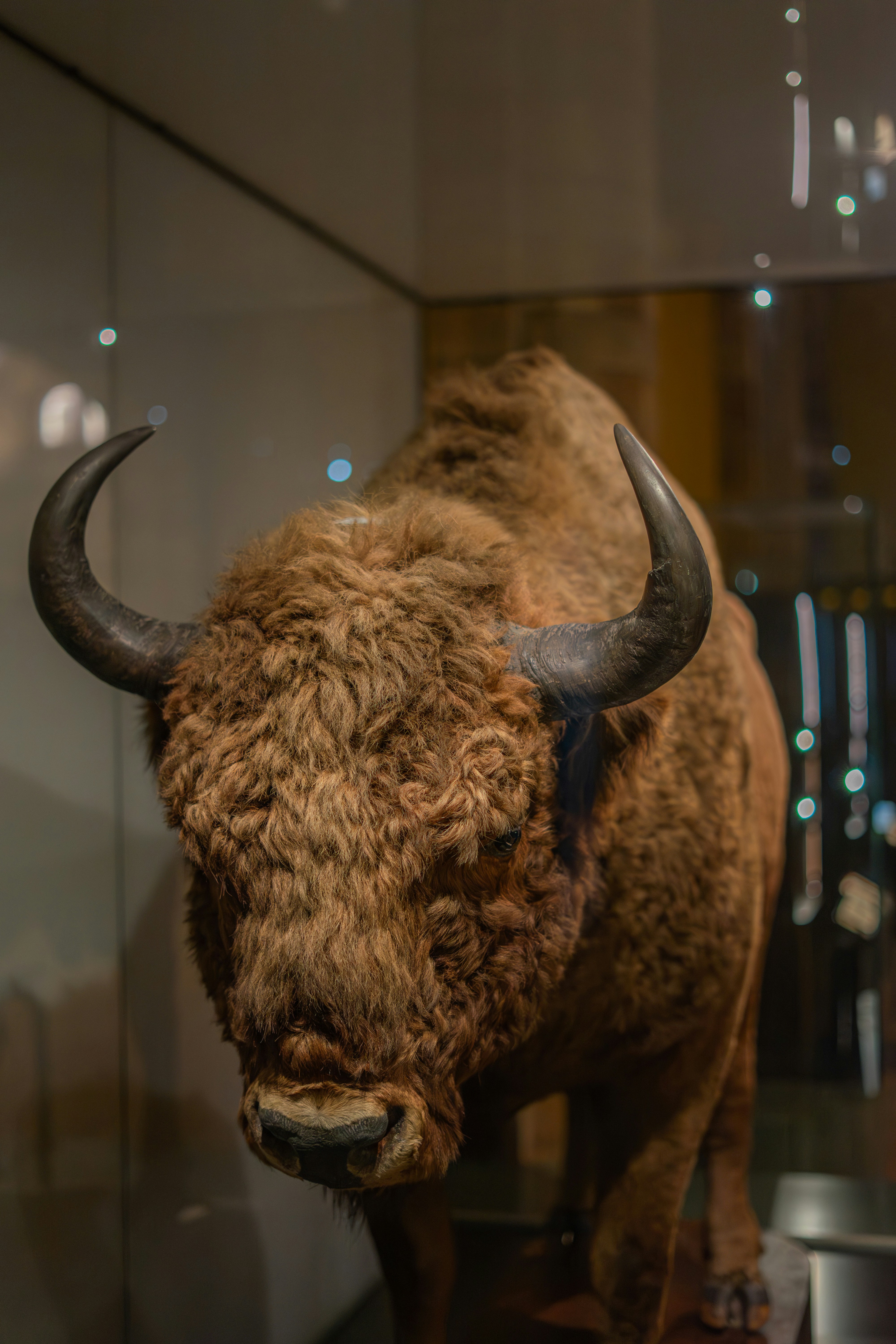 Photo by Antony Hyson Seltran with Sony Alpha 7 II