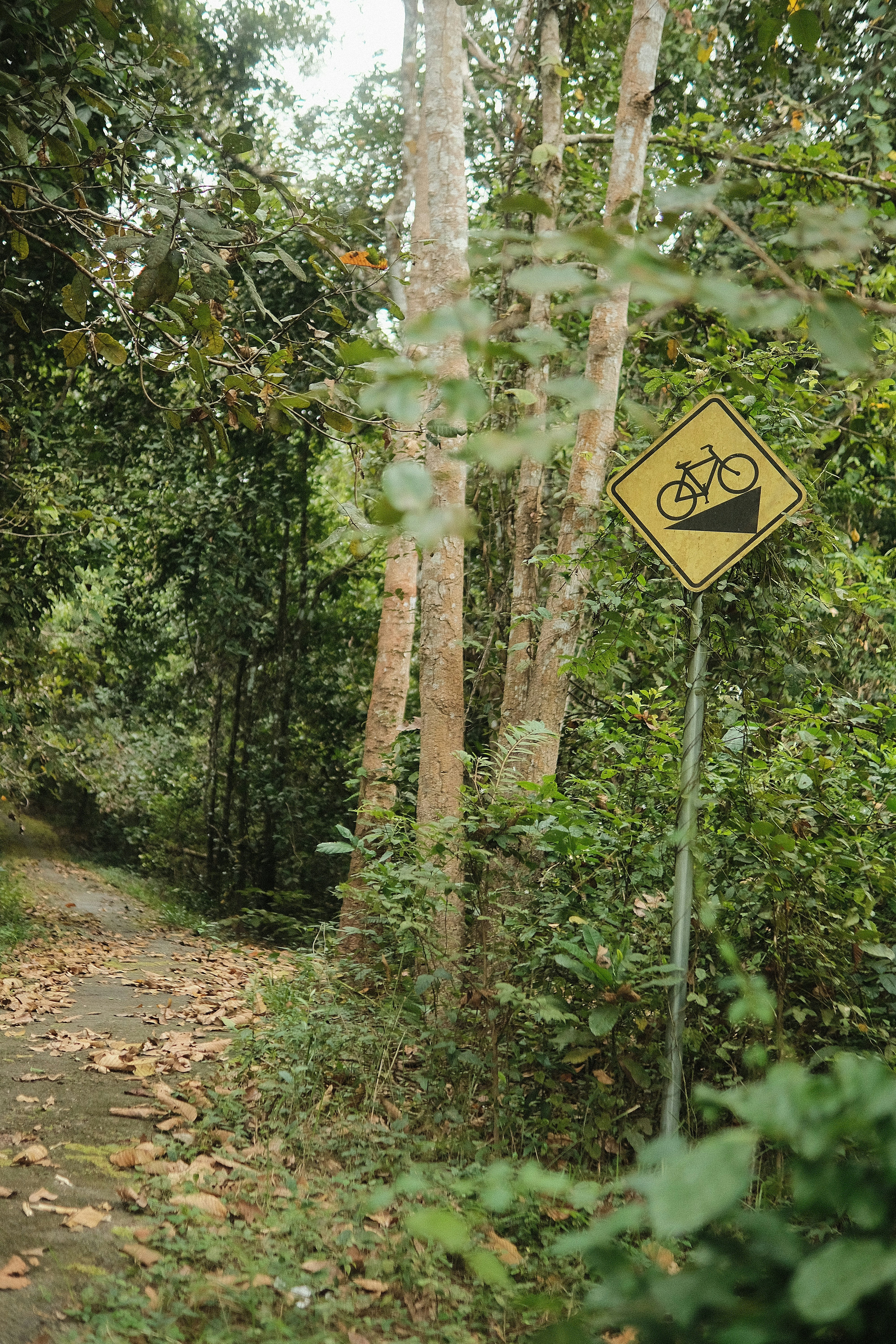 Photo by Siborey Sean with Fujifilm X-T2