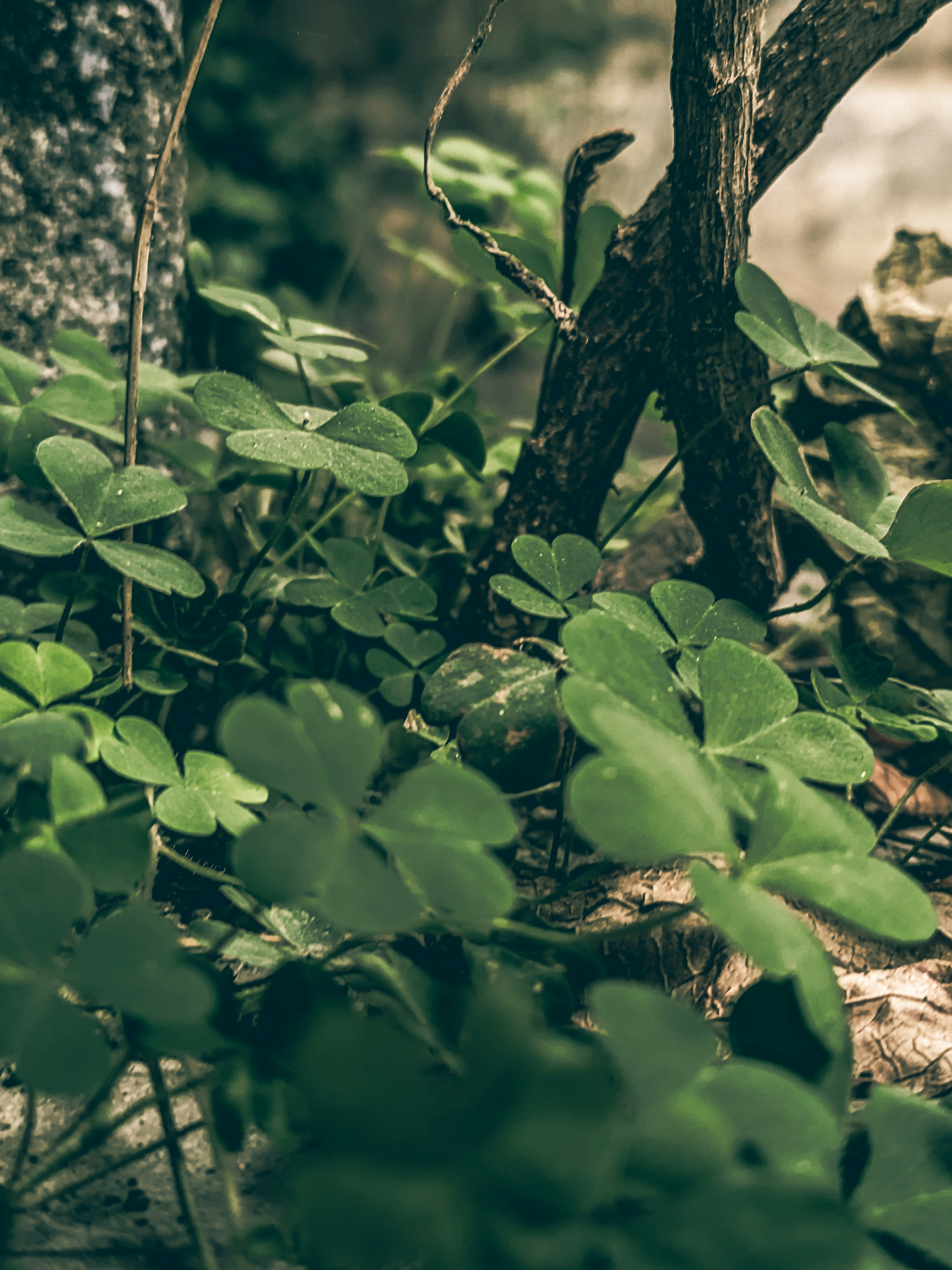 Photo by Sujay Paul with Realme 7 Pro