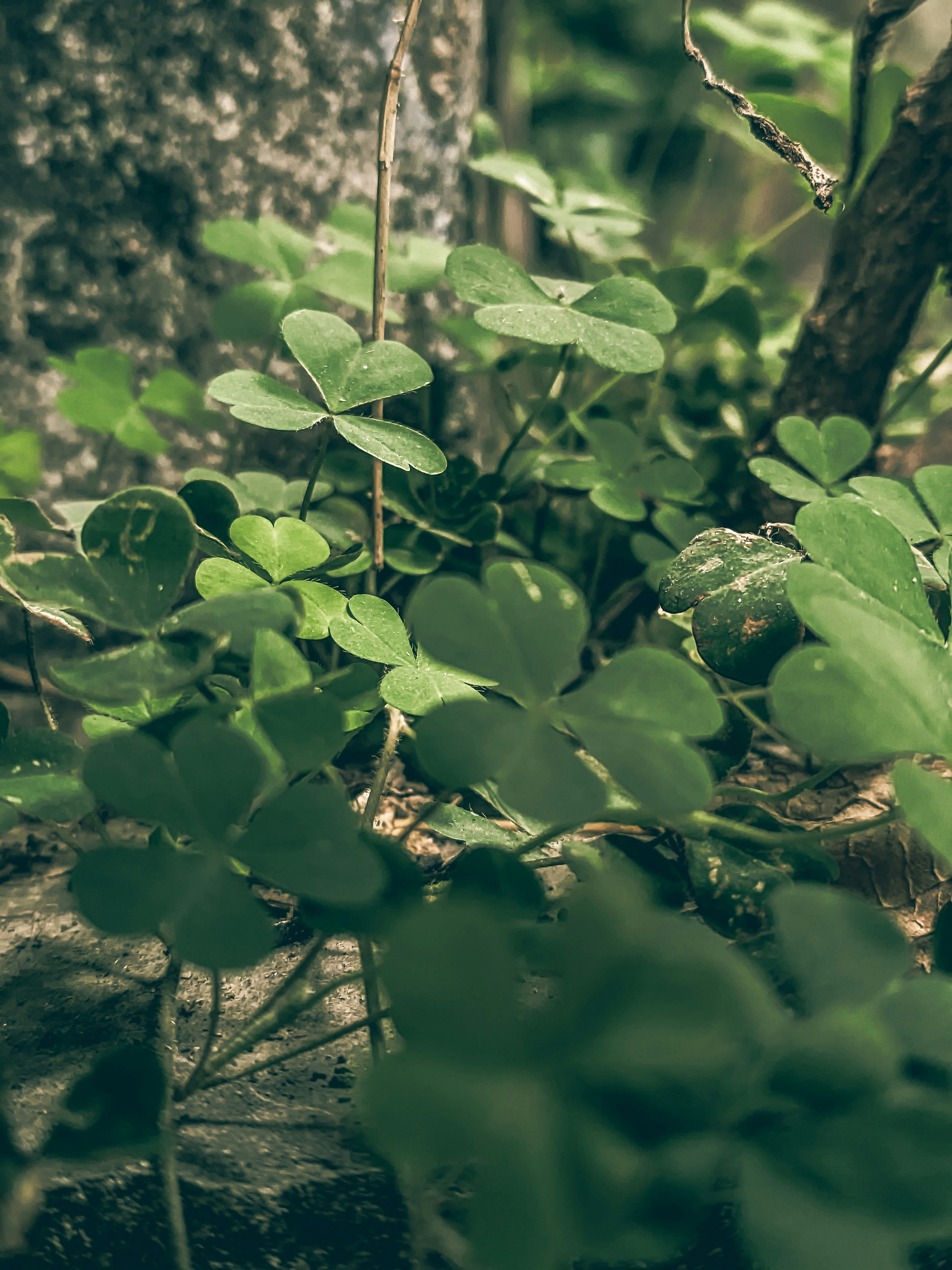 Photo by Sujay Paul with Realme 7 Pro