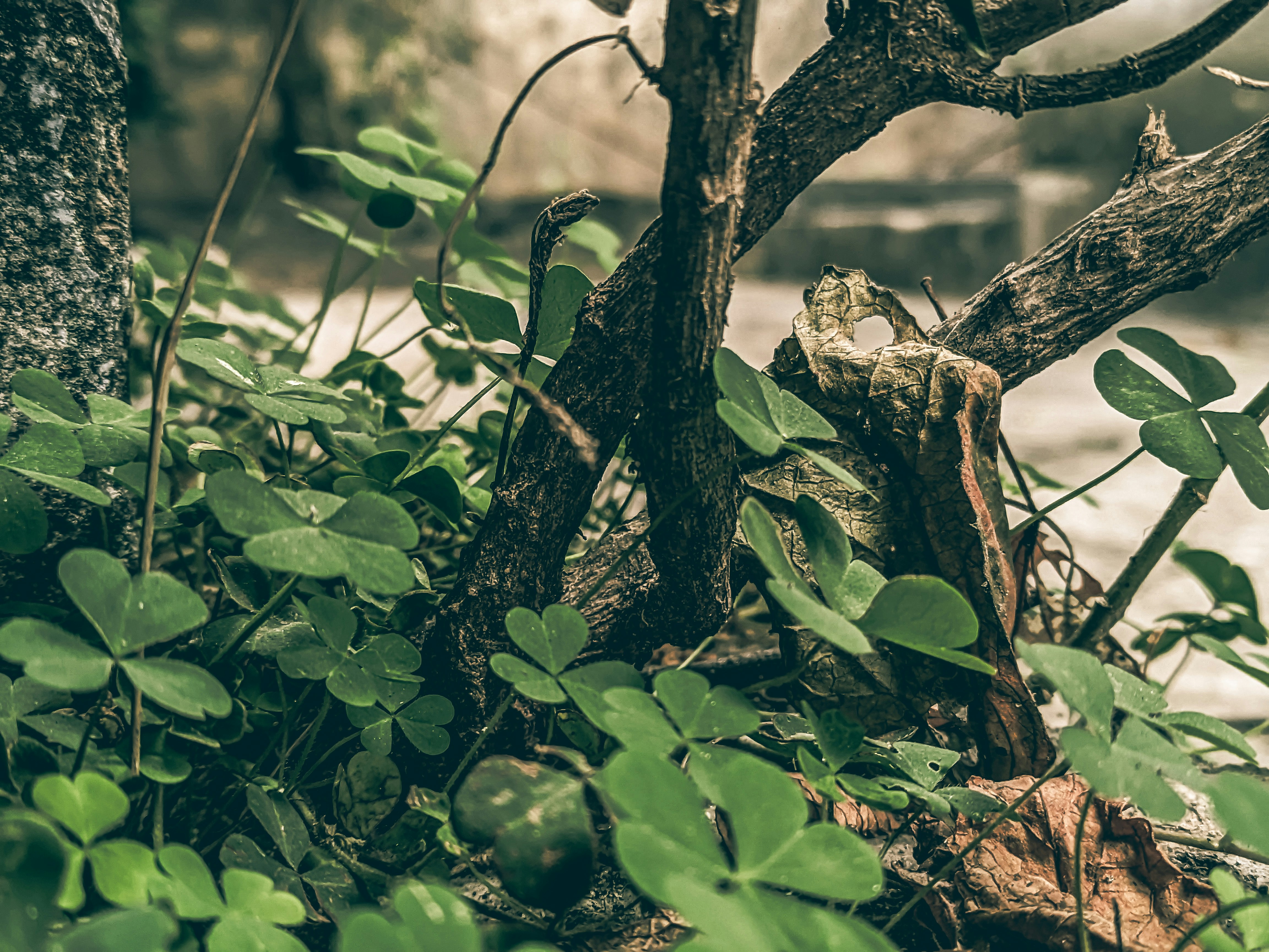 Photo by Sujay Paul with Realme 7 Pro