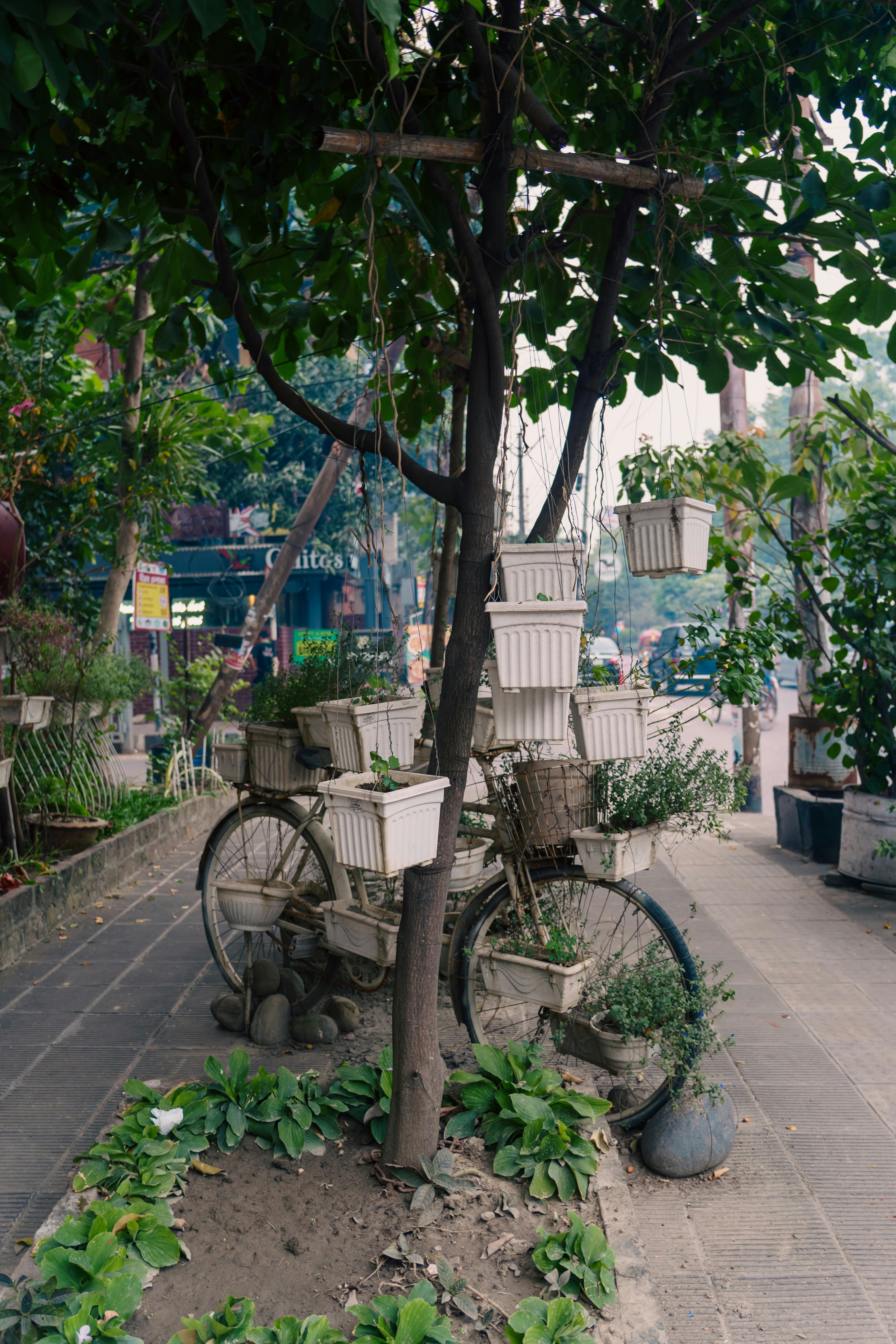 Raised Garden Cart: A Tangle of Baskets and Urban Greenery