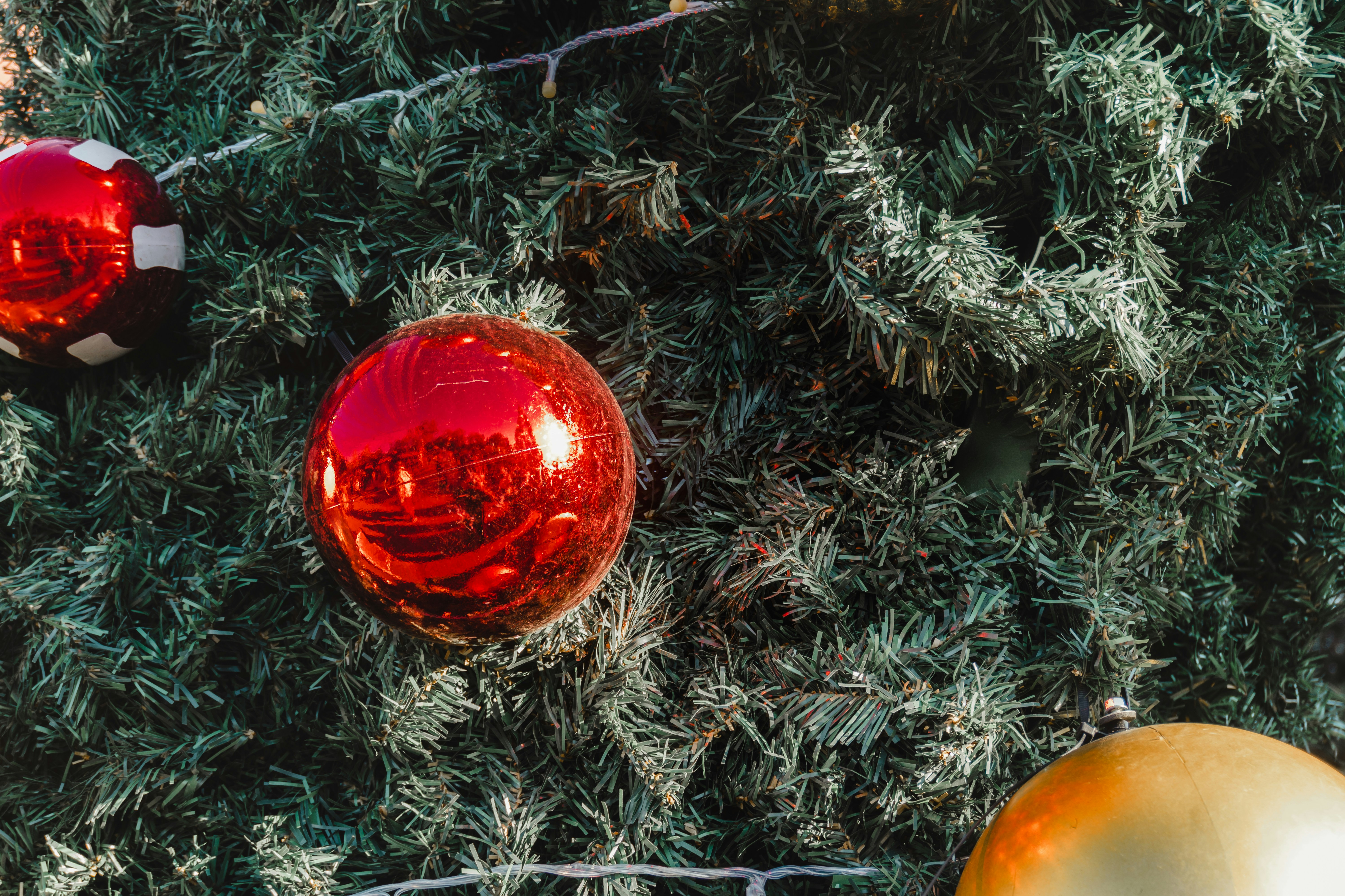 Photo by Zulfugar Karimov with Sony Alpha 6400