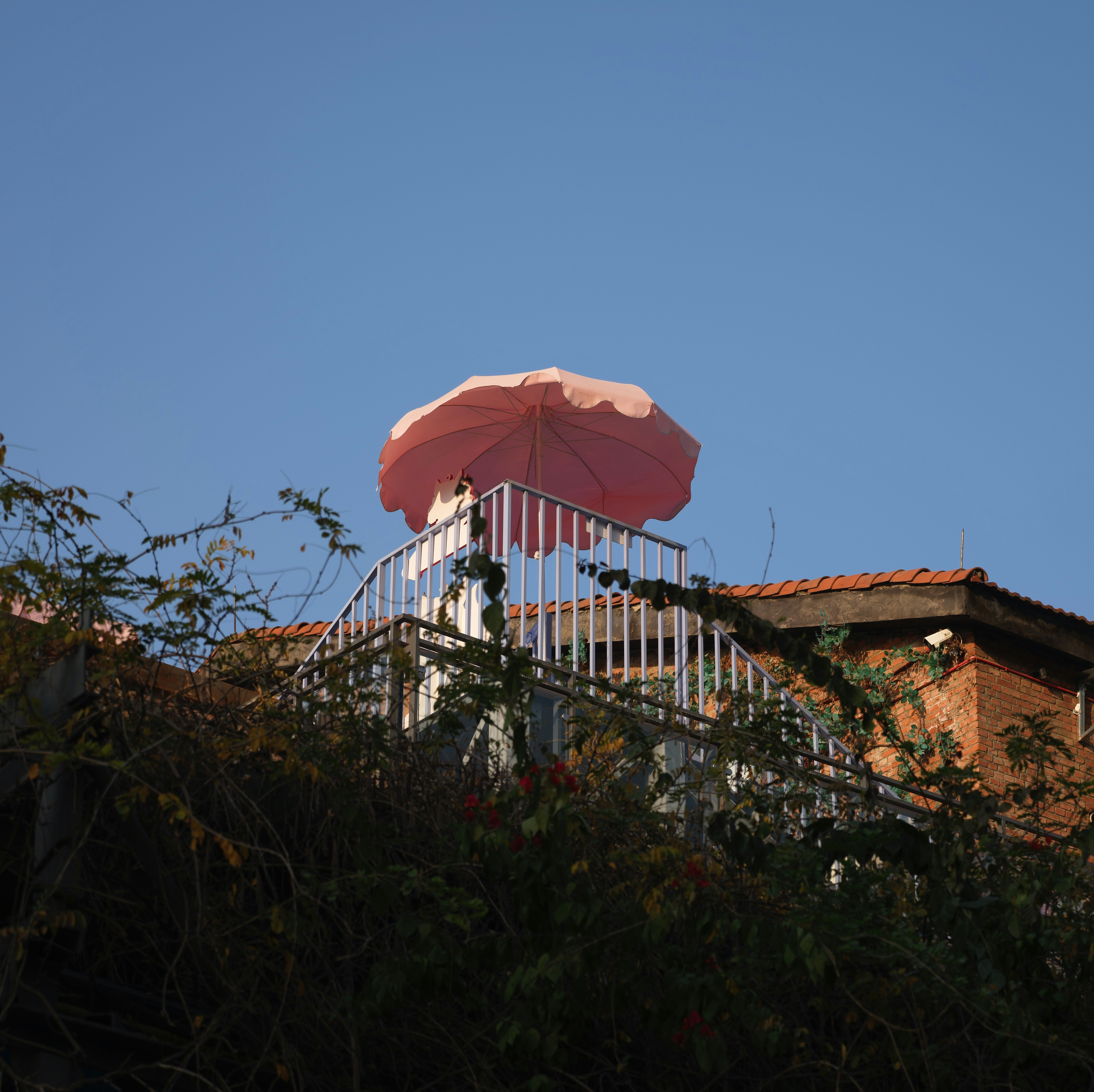 Photo by Yunshuo Qu with Hasselblad 907X & CFV 100C